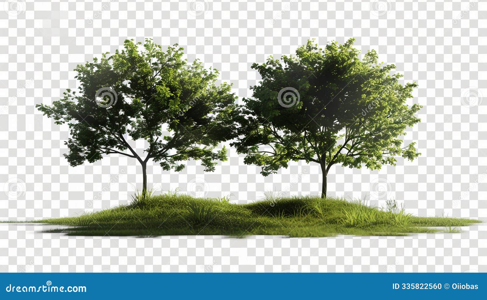 3D Render of Two Lush Trees on a Grassy Knoll with Transparent ...