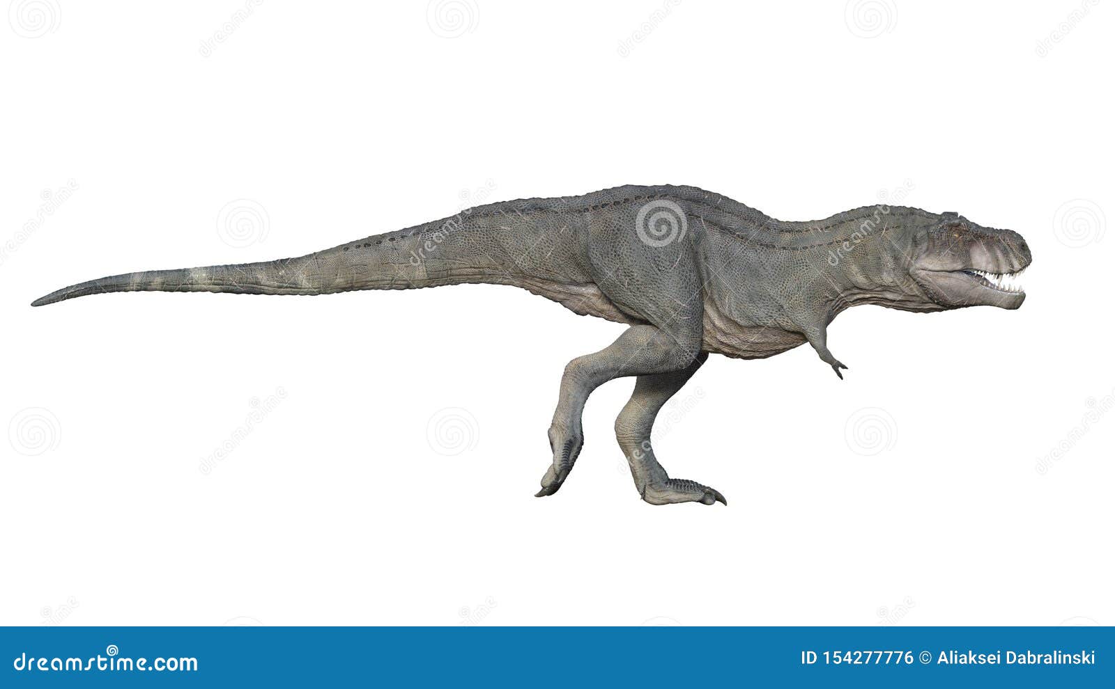 3d Render Of Tyrannosaurus Rex Royalty-Free Stock Photo | CartoonDealer ...