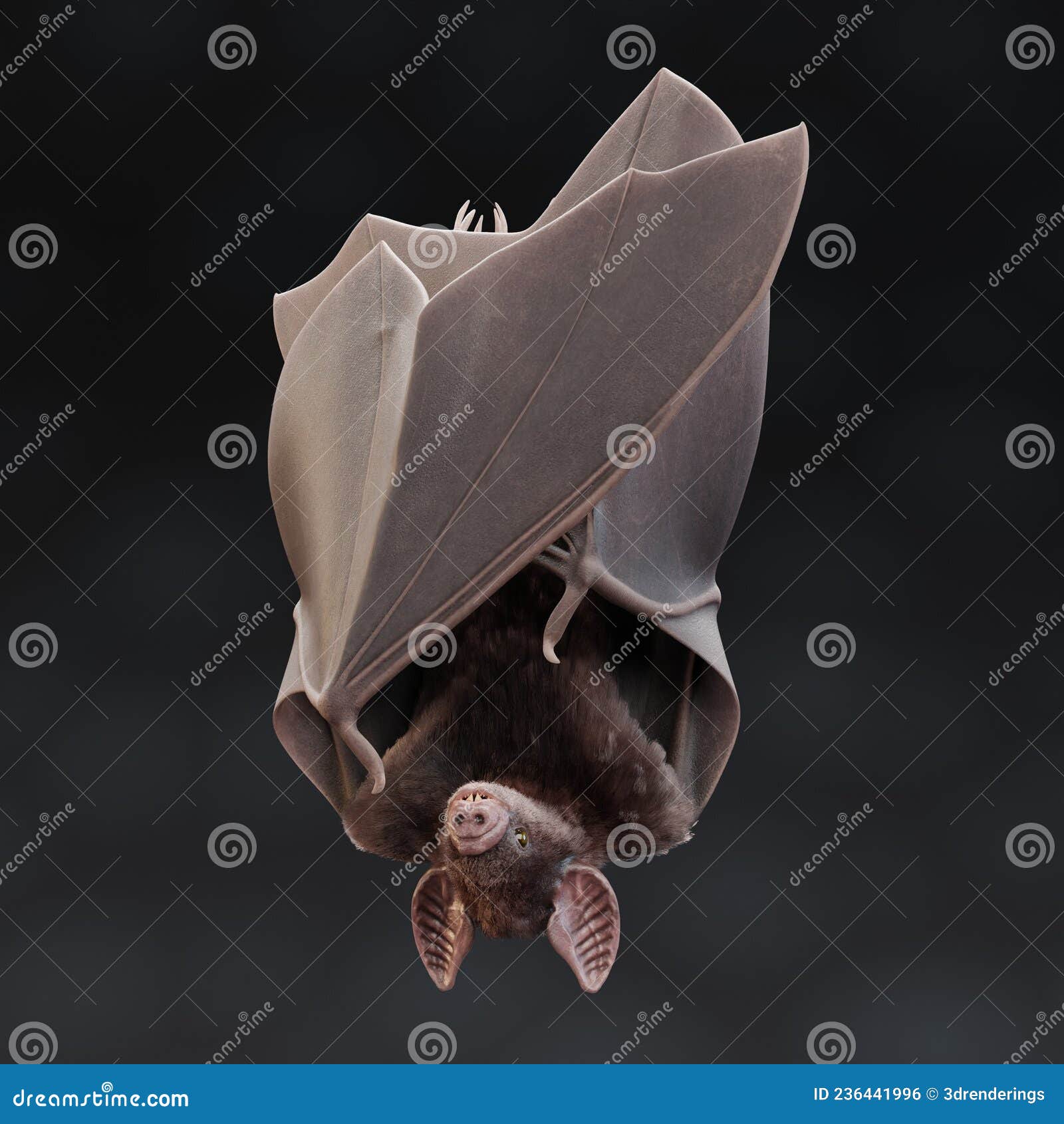 3D Render Of Vampire Bat Royalty-Free Stock Photo | CartoonDealer.com ...