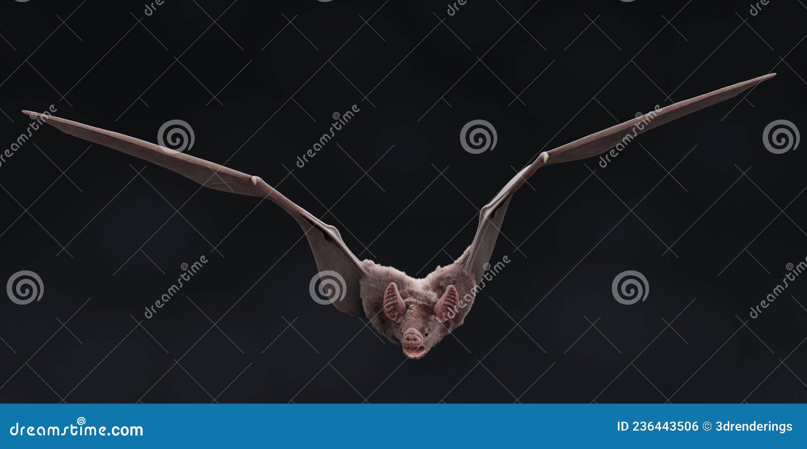 3D Render Of Vampire Bat Stock Photography | CartoonDealer.com #236511002