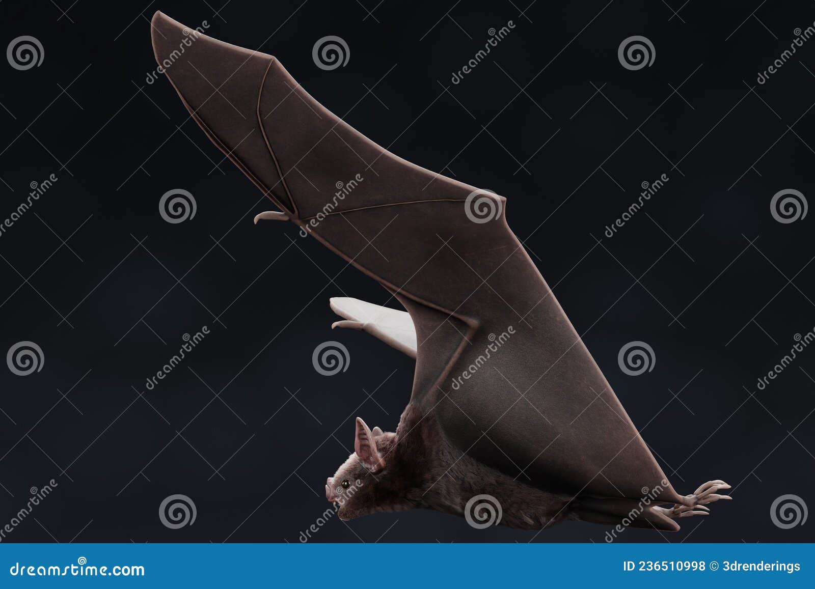 3D Render Of Vampire Bat Stock Photography | CartoonDealer.com #236511002