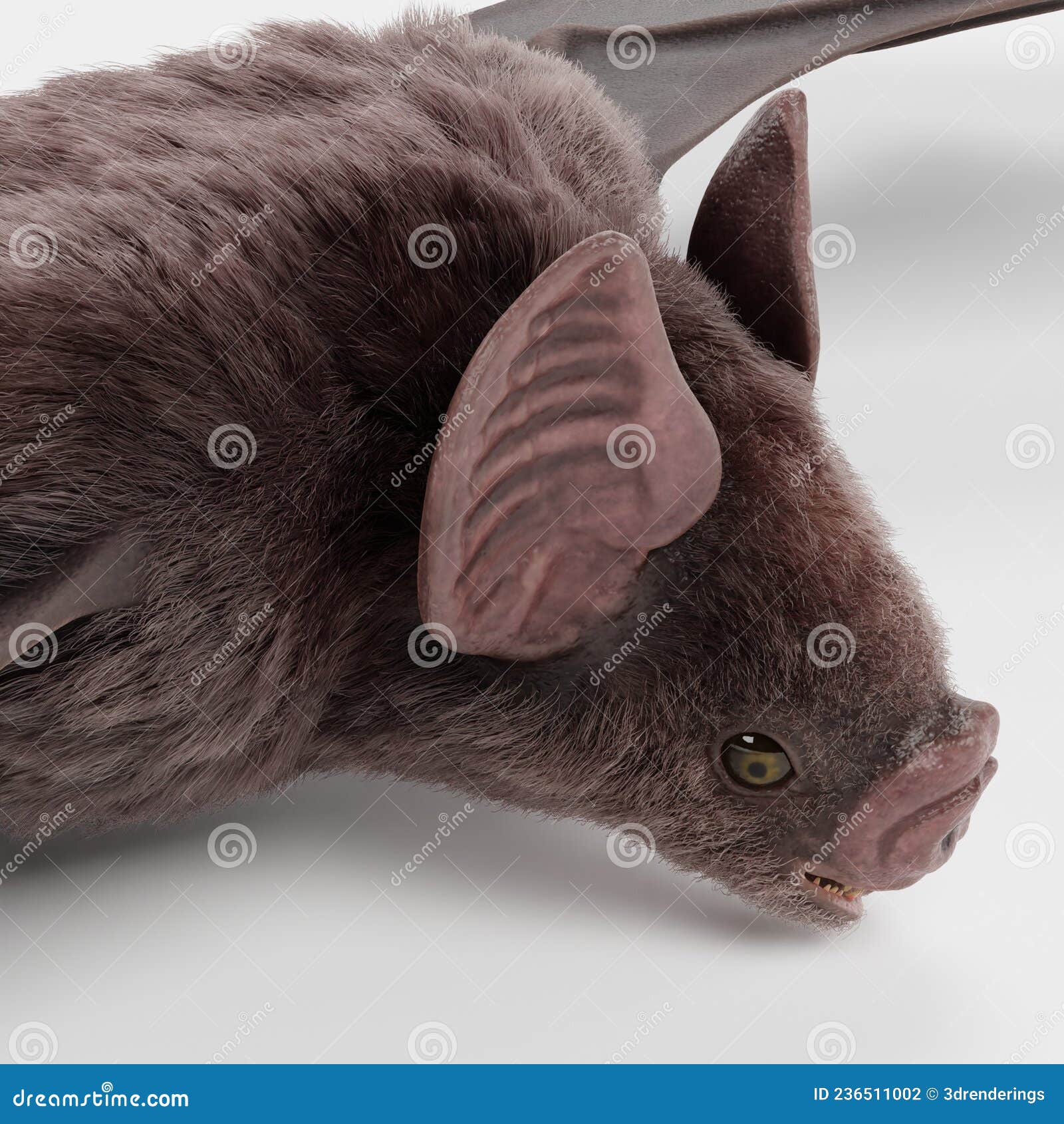 3D Render of Vampire Bat stock illustration. Illustration of bird ...