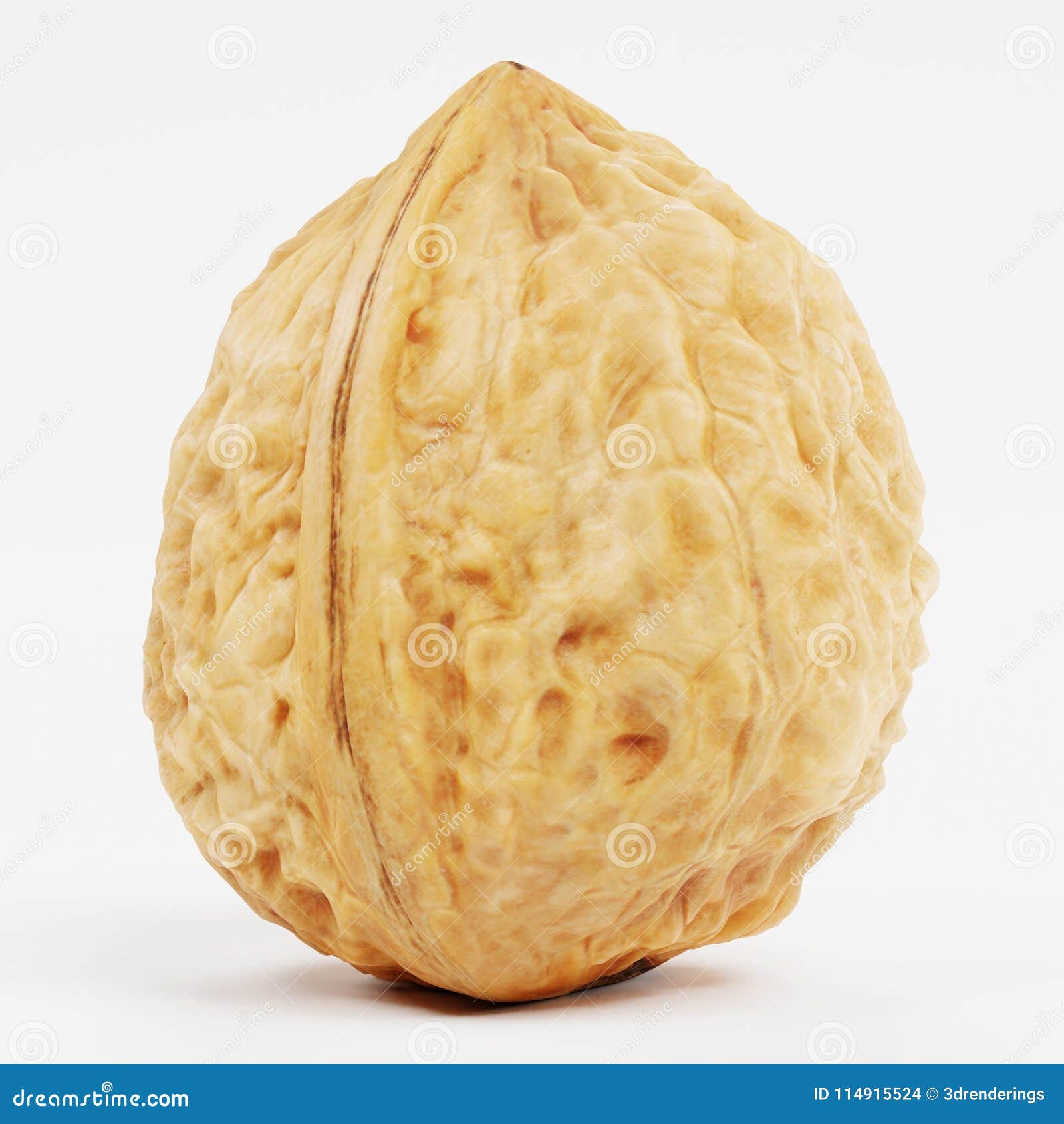 3D Render of Walnut stock illustration. Illustration of snack - 114915524