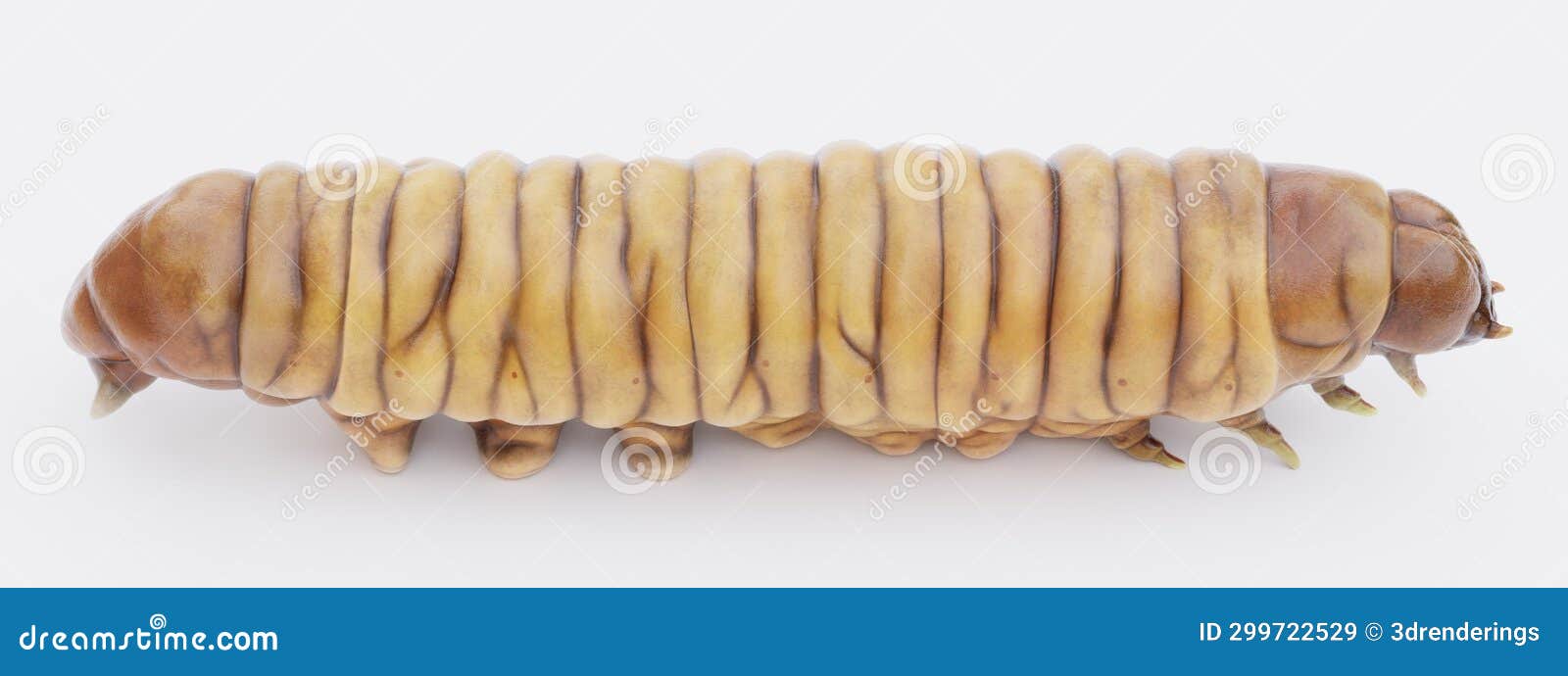 3D Render of Wax Worm stock illustration. Illustration of eating ...