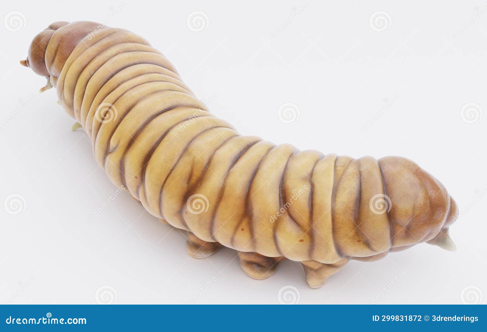 3D Render of Wax Worm stock illustration. Illustration of galleria ...