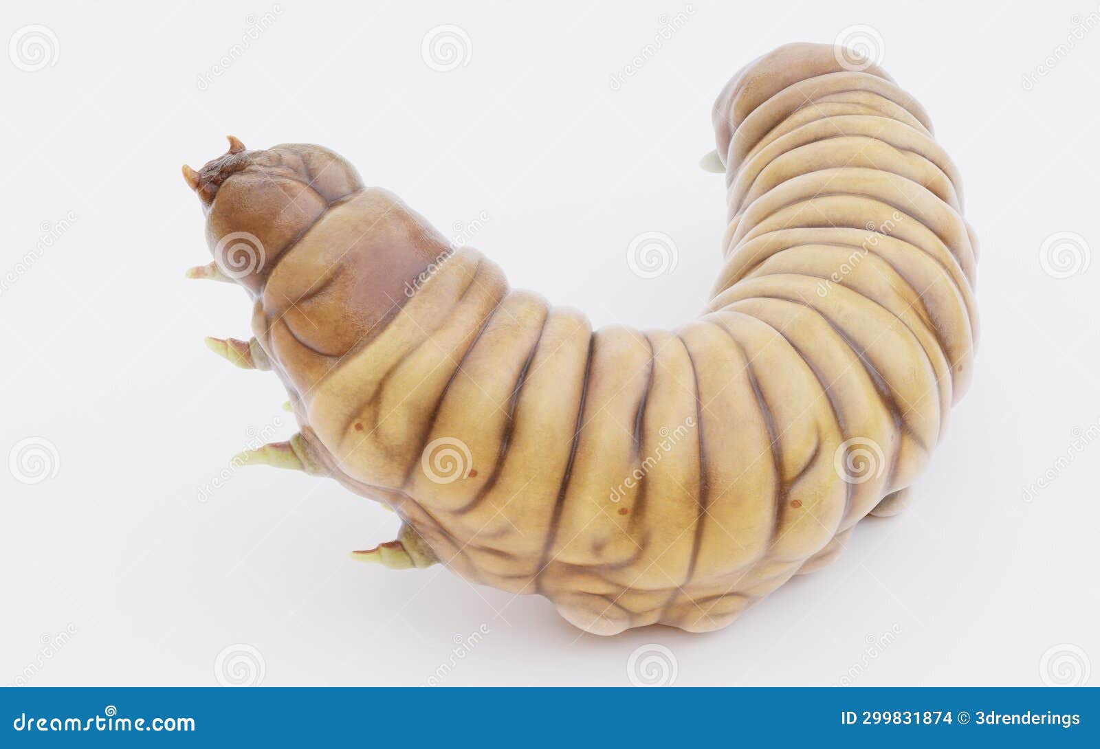 3D Render of Wax Worm stock illustration. Illustration of devauring ...