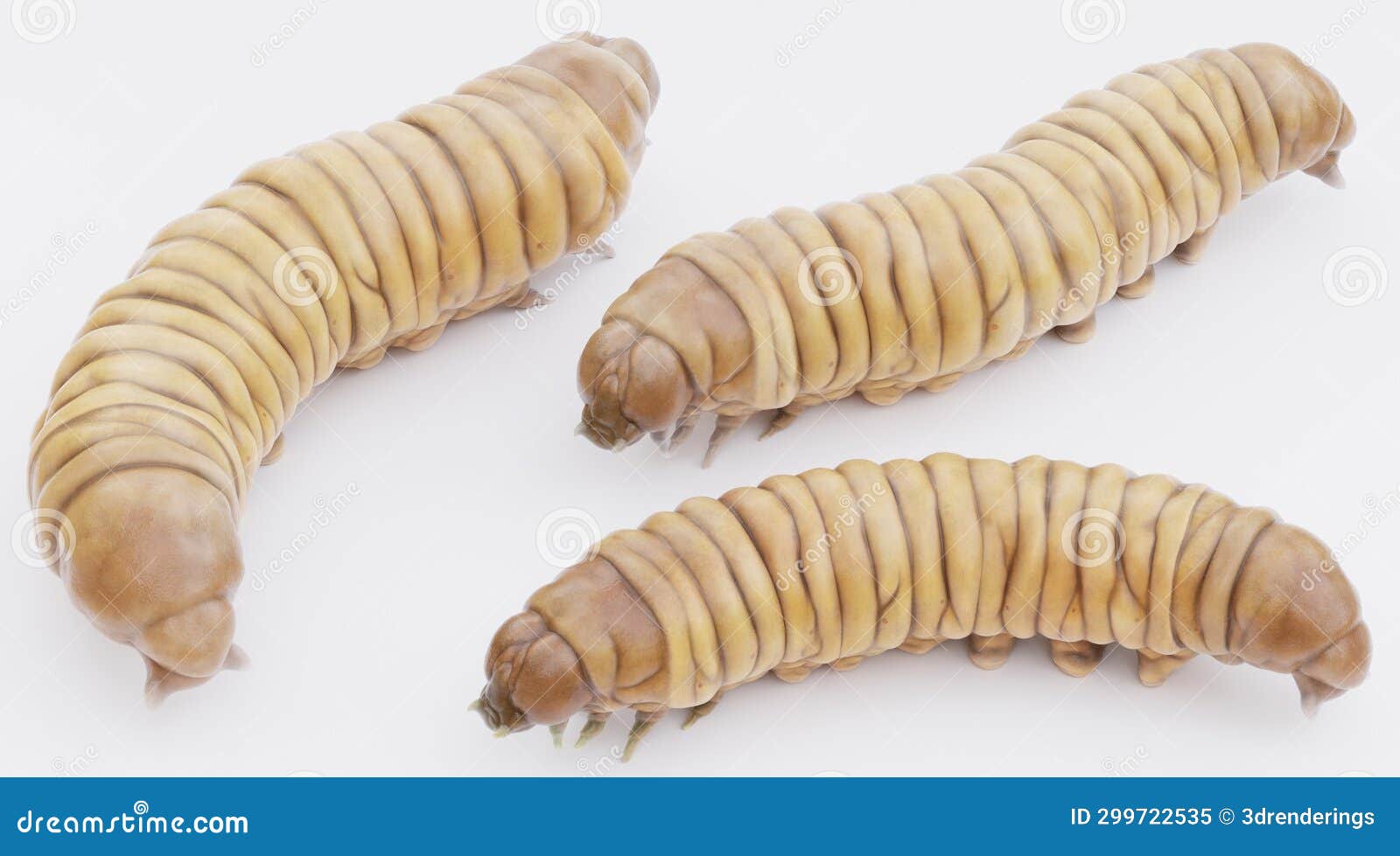 3D Render of Wax Worms stock illustration. Illustration of mellonella ...