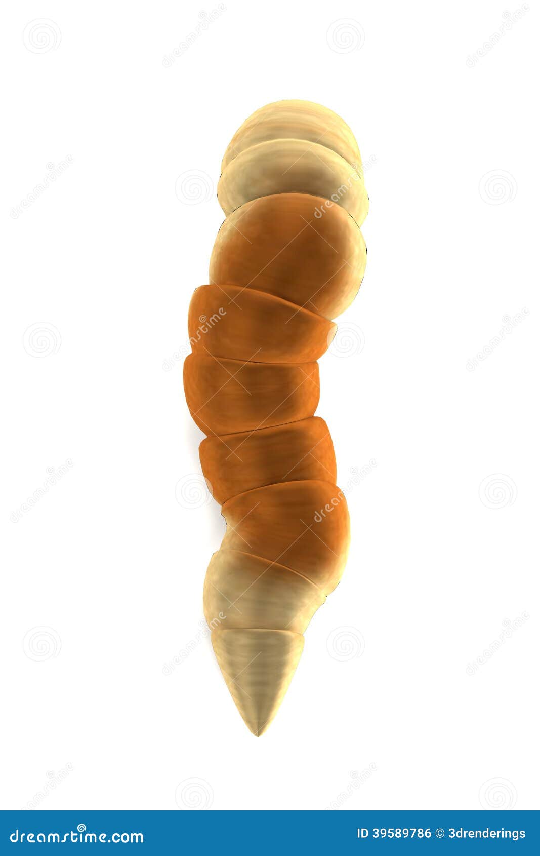 3d render of worm stock illustration. Illustration of model - 39589786