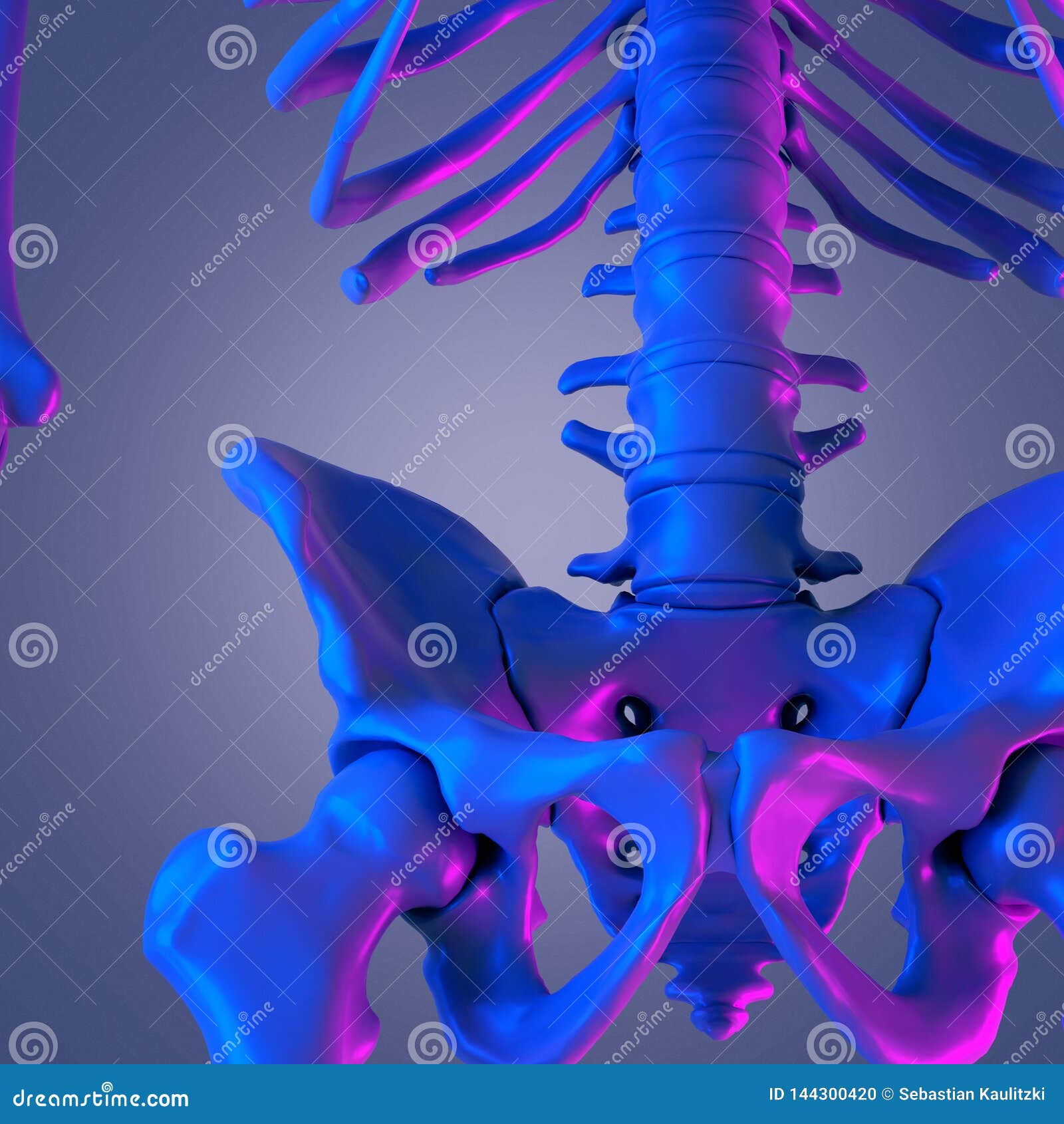 The lumbar spine stock illustration. Illustration of abstract - 144300420