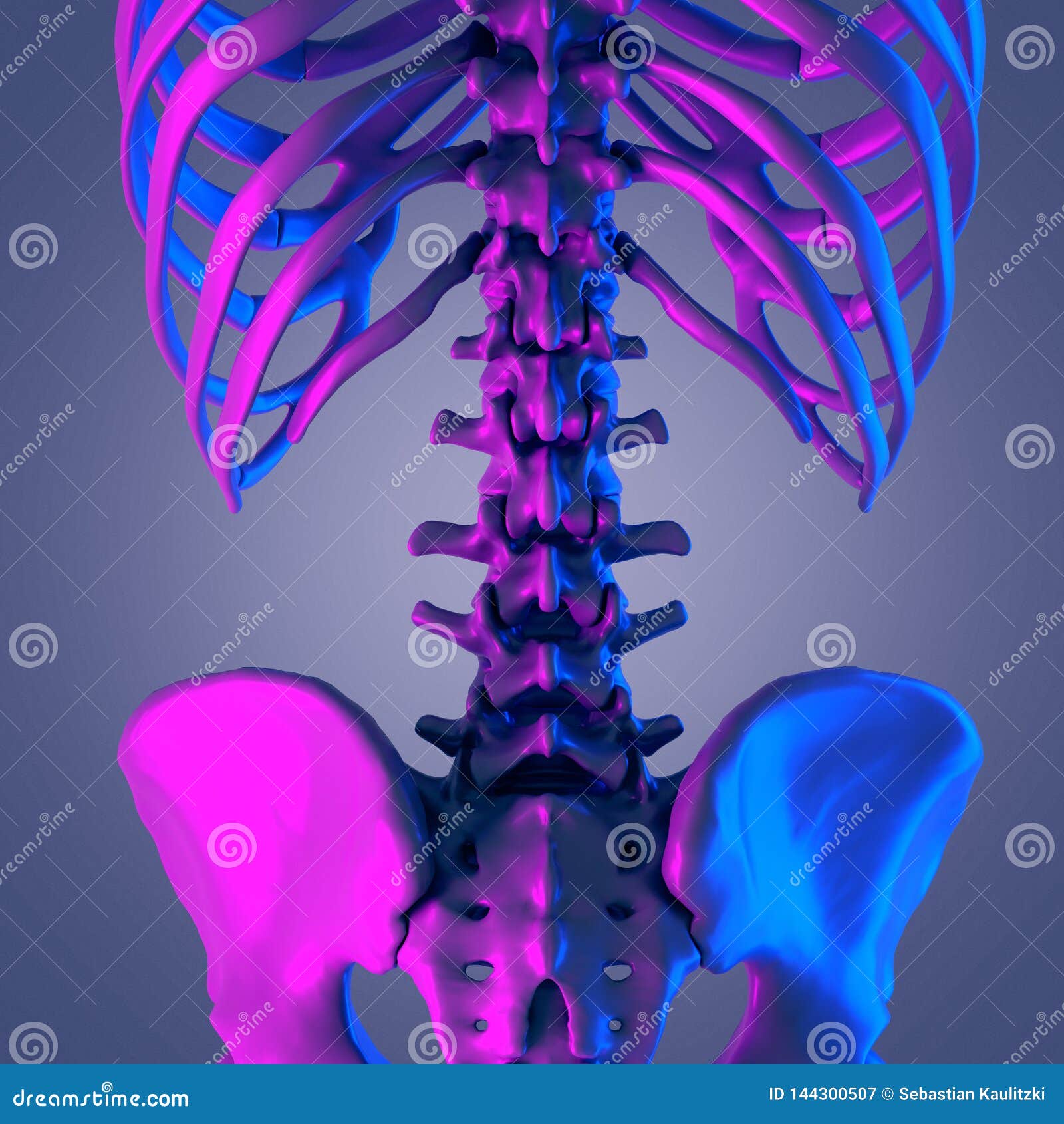 The lumbar spine stock illustration. Illustration of abstract - 144300507