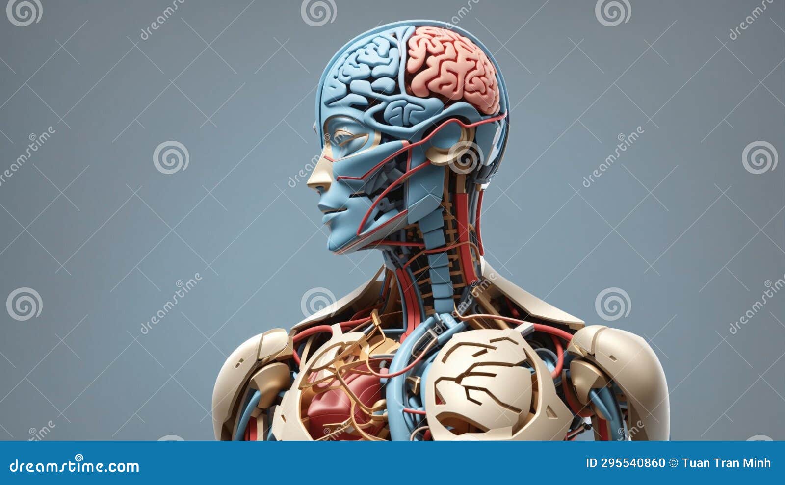 3d Rendered Anatomy Illustration of a Human Body Shape with Brain Stock ...