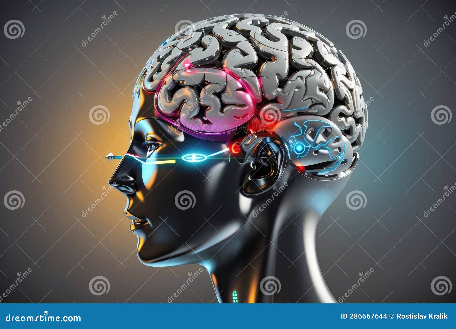 3d Rendered Anatomy Illustration of a Human Body Shape with Brain Stock ...