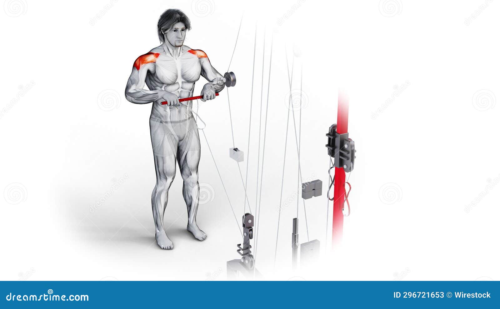 3d Rendered Animation of a Man Doing Exercise for Shoulders Stock Video ...