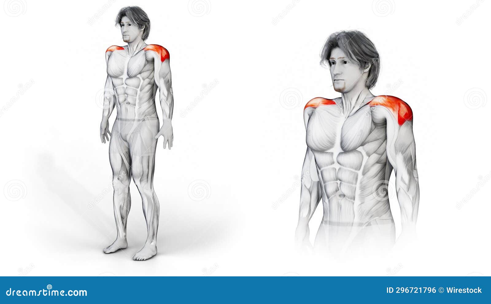3d Rendered Animation of a Man Doing Warm-up Exercise for Shoulders ...
