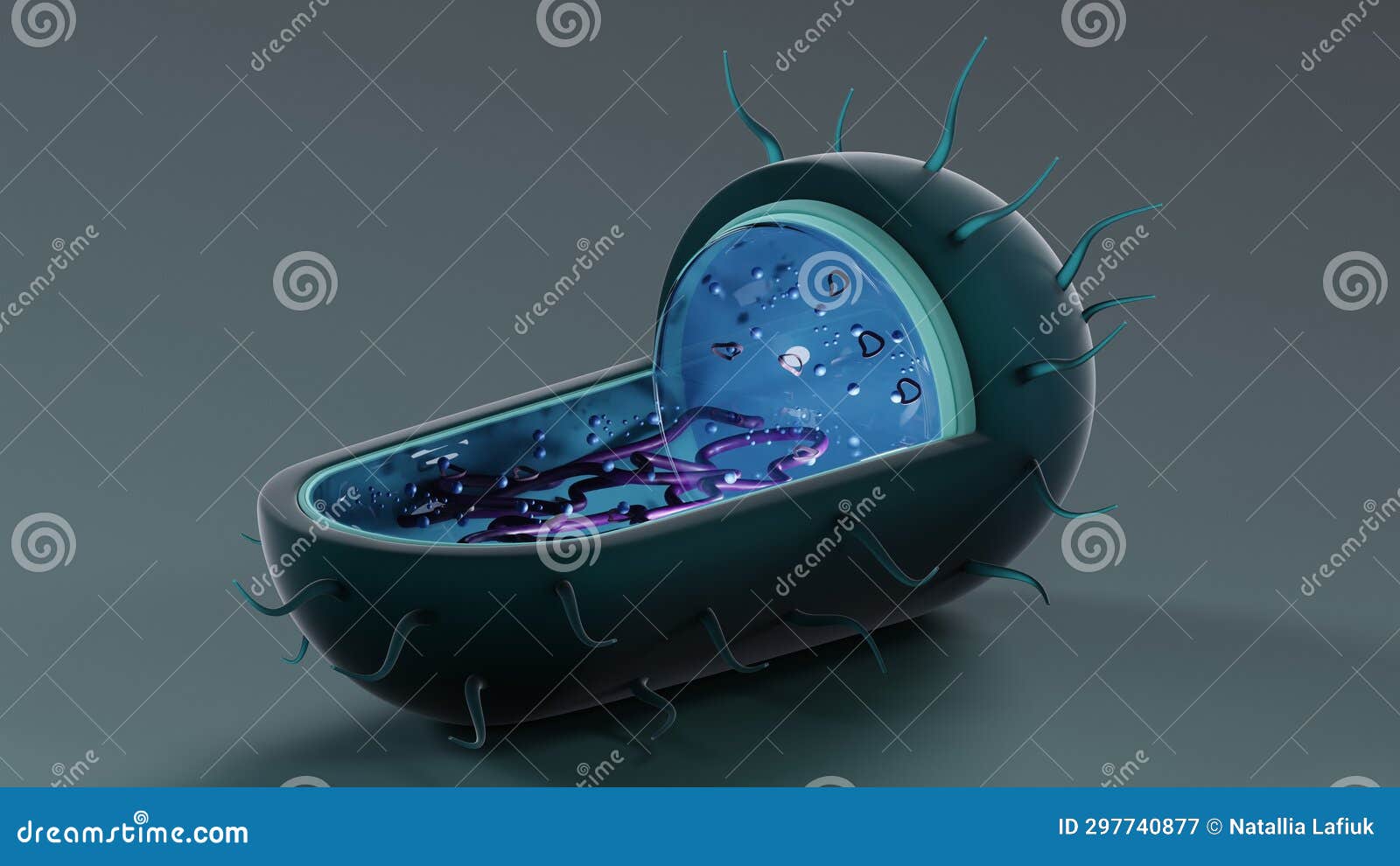3d Rendered Bacteria Illustration Internal Structure Stock Illustration ...