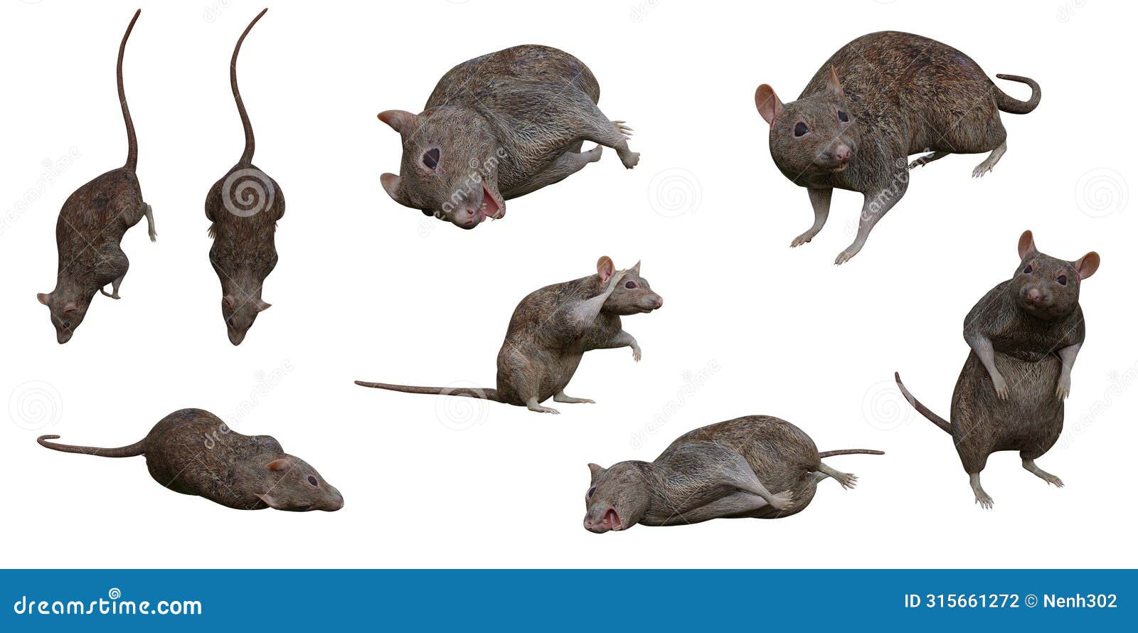 3D Rendered Brown Rats in Different Poses Stock Illustration ...