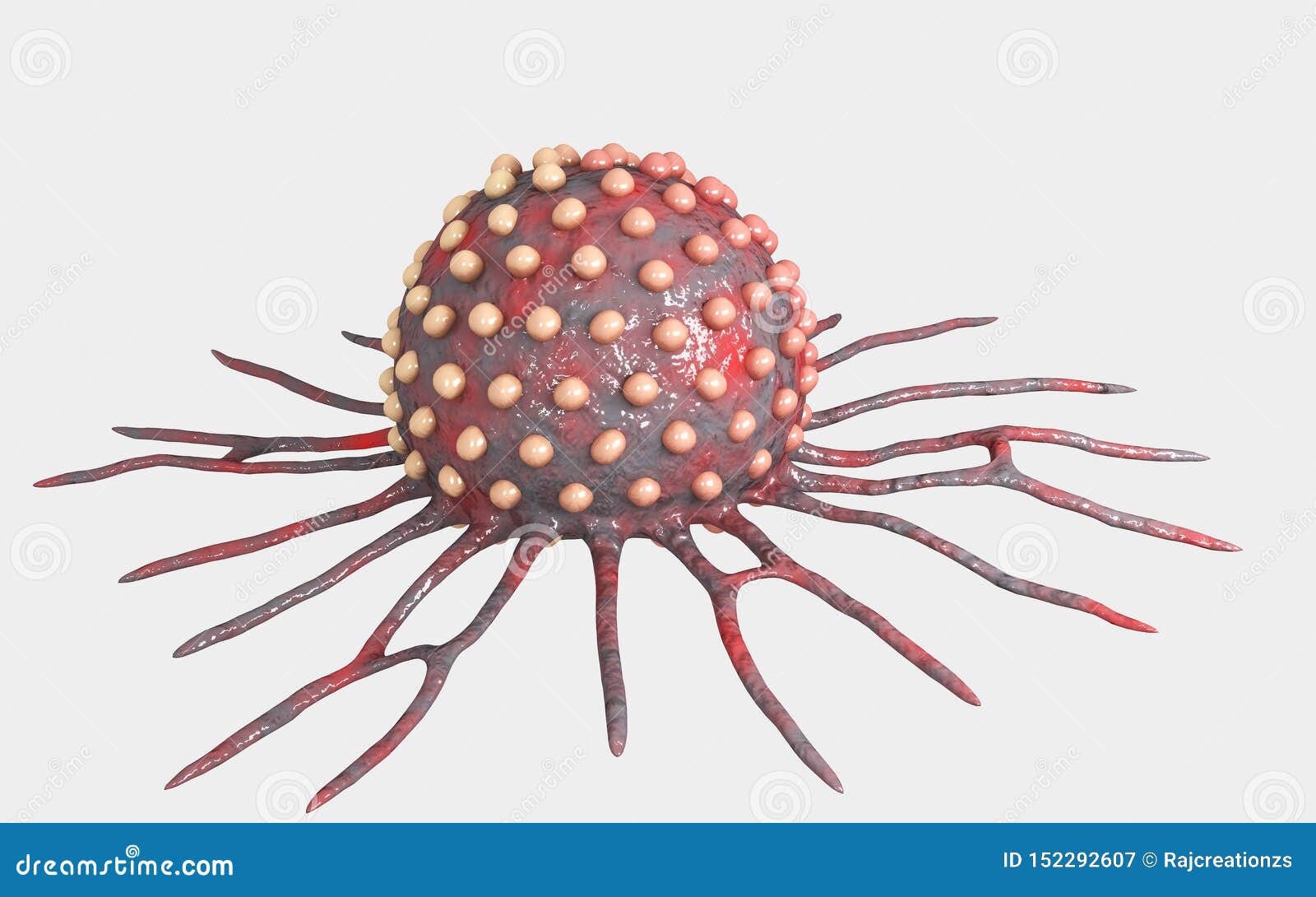 3d Rendered Cancer Cell on a White Background Stock Illustration ...