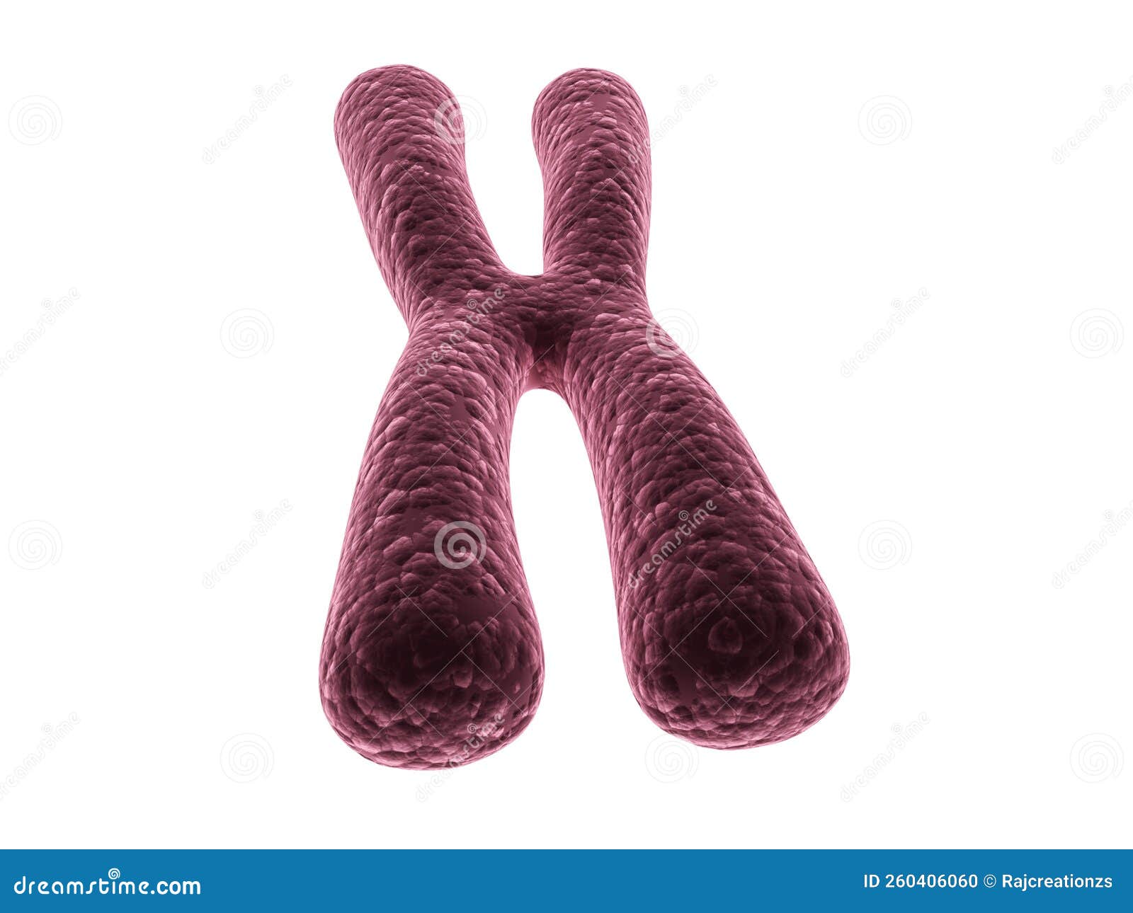 3d rendered X Chromosome stock illustration. Illustration of gene ...