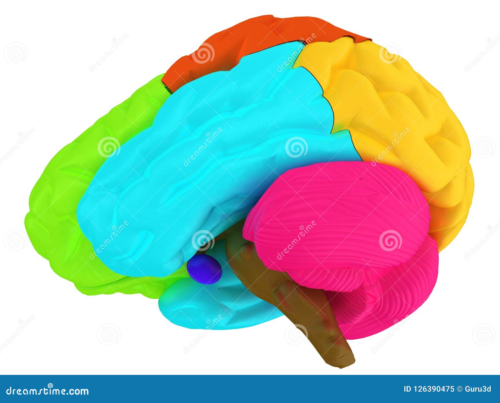 3d Rendered Colourful Brain Stock Illustration - Illustration of ...