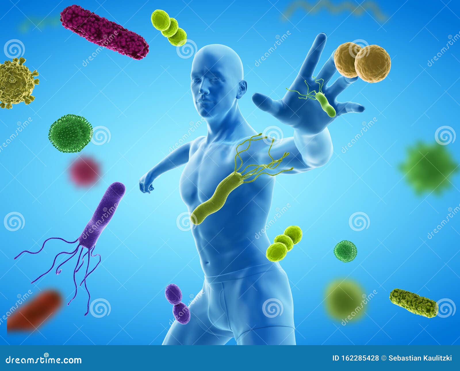 Immune defense stock illustration. Illustration of immunology - 162285428