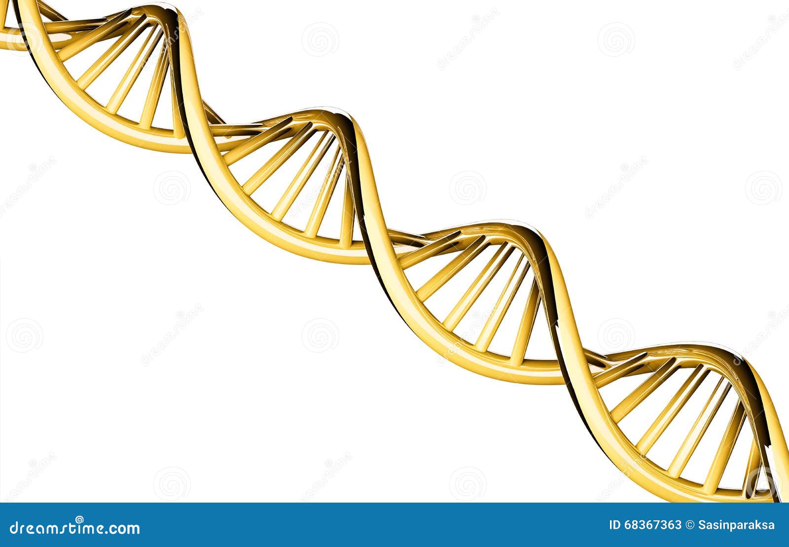 3d Rendered, DNA Gold with Copy Space, Isolated on White Background ...