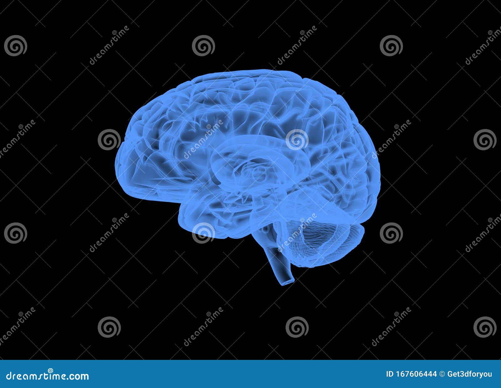 Brain Side View Icon, Intellect Symbol, Simple Line Style Vector ...