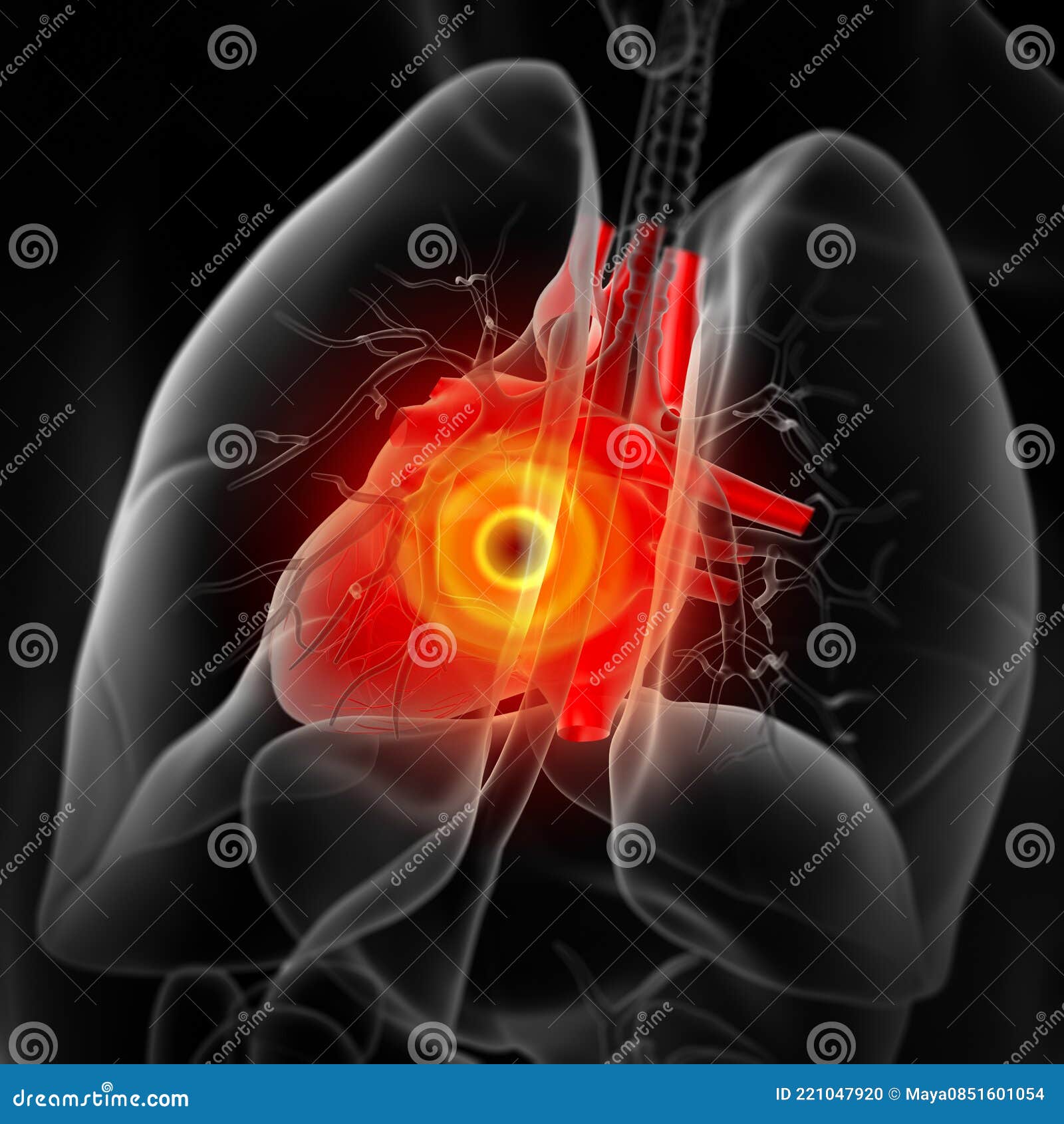 3d Rendered of the Human Heart Stock Illustration - Illustration of ...