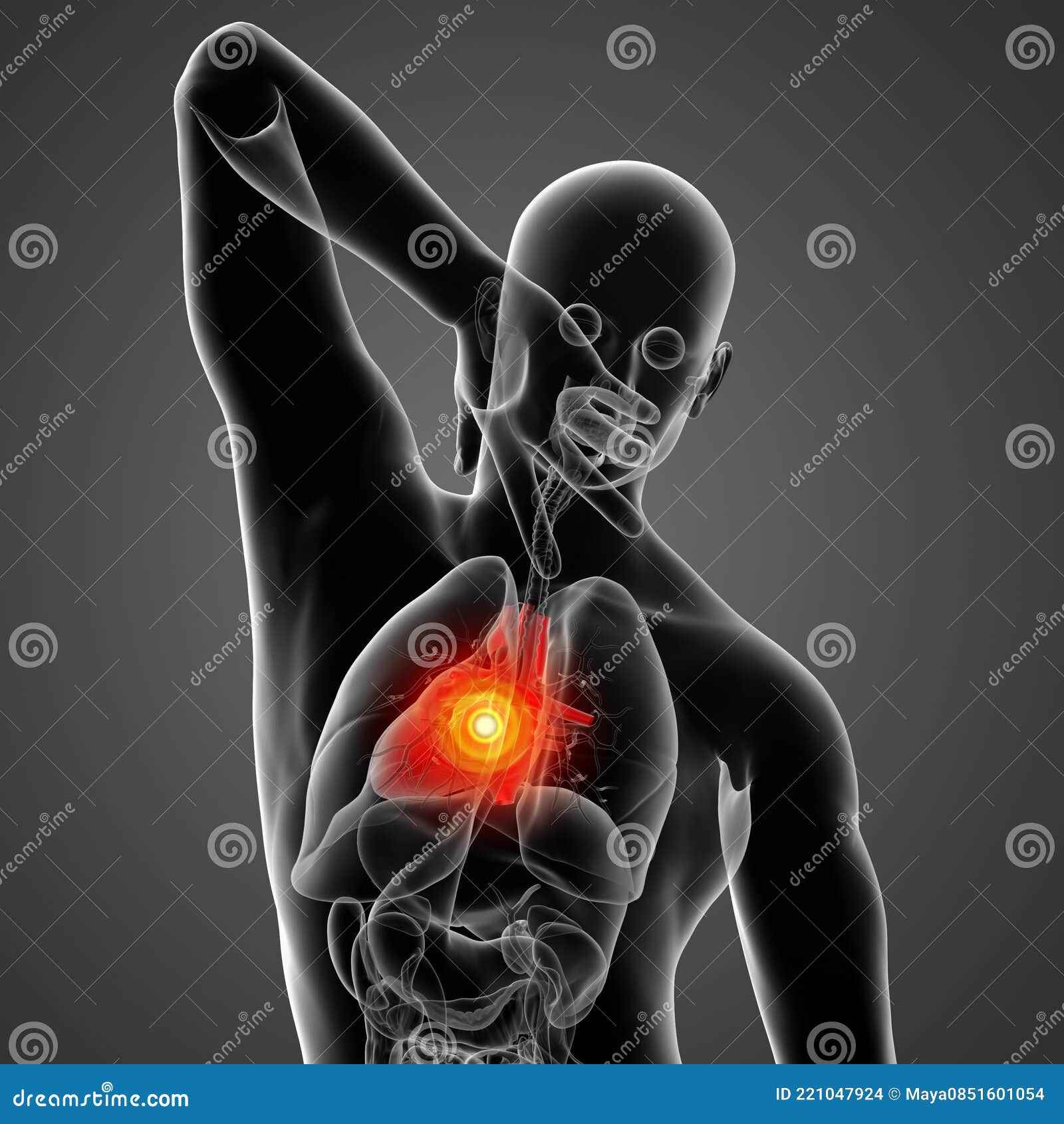 3d Rendered of the Human Heart Stock Illustration - Illustration of ...
