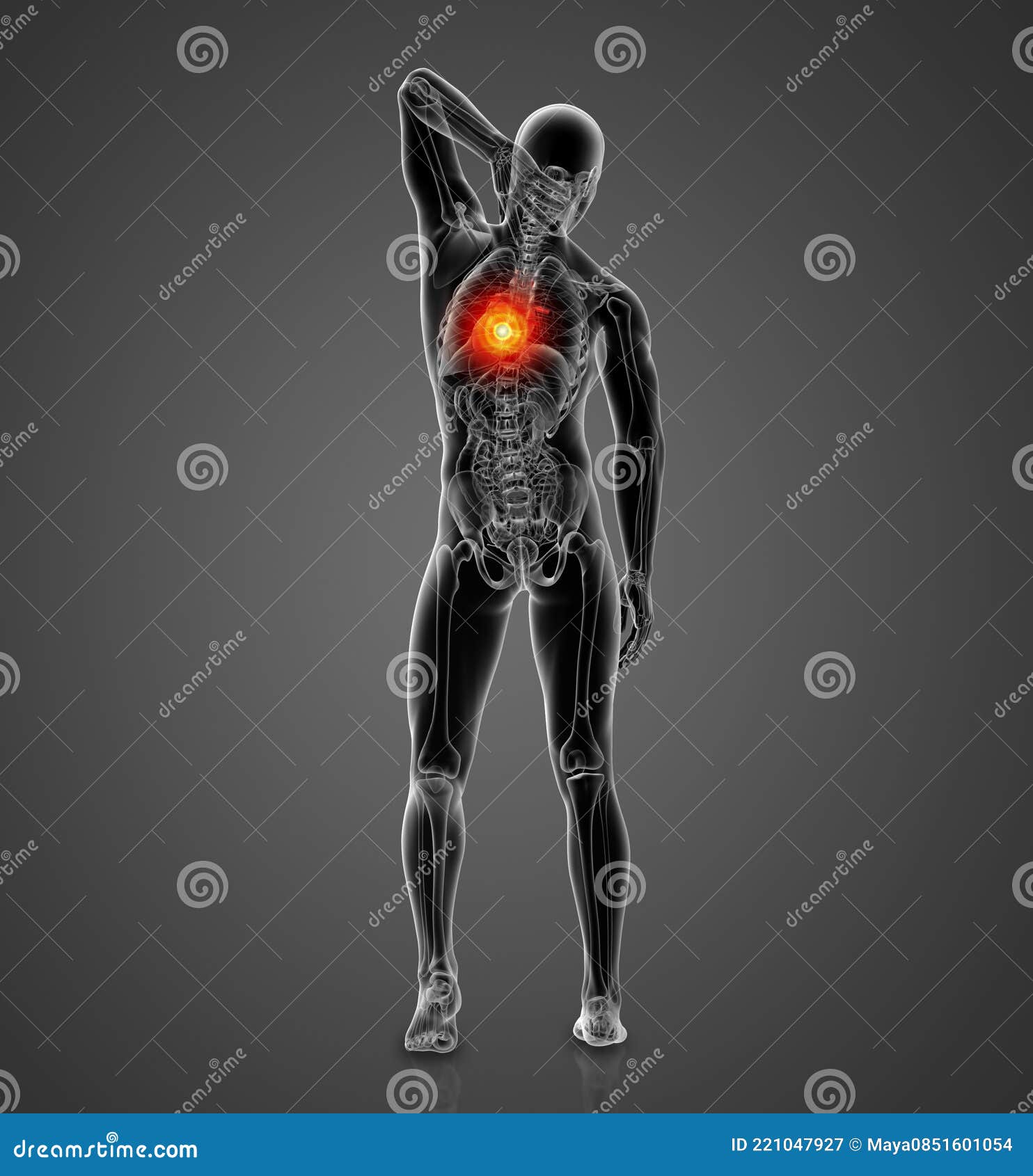 3d Rendered of the Human Heart Stock Illustration - Illustration of ...