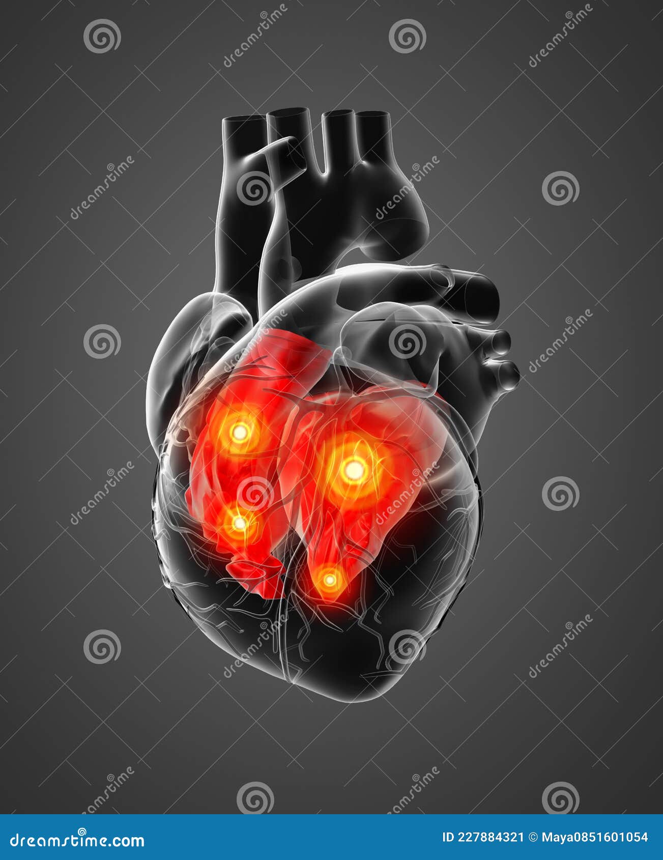3d Rendered of the Human Heart Stock Illustration - Illustration of ...