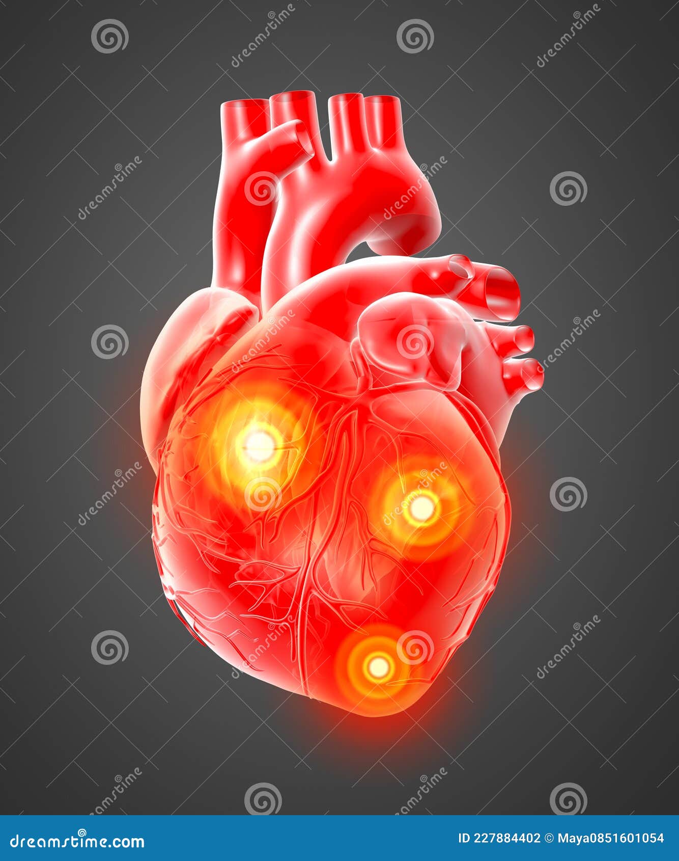 3d Rendered of the Human Heart Stock Illustration - Illustration of ...