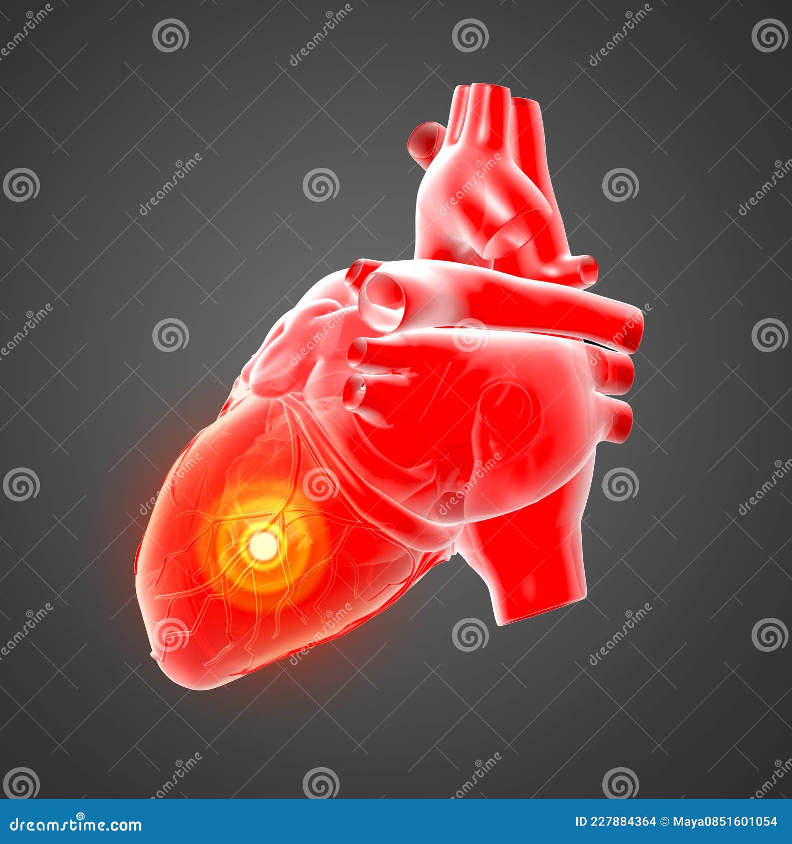 3d Rendered of the Human Heart Stock Illustration - Illustration of ...