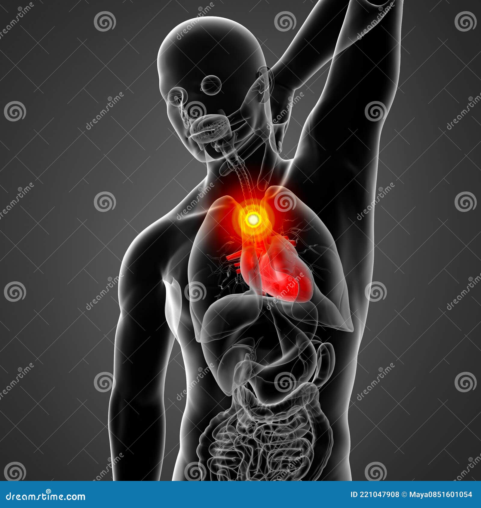 3d Rendered of the Human Heart Stock Illustration - Illustration of ...