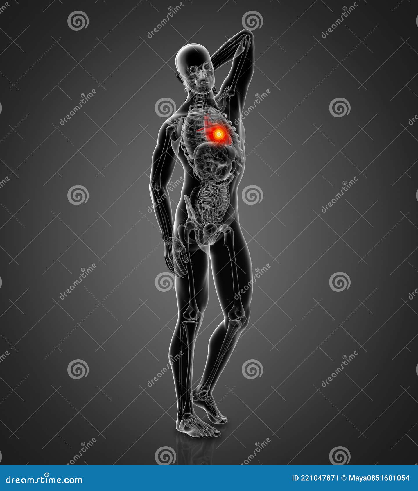 3D Rendering Illustration of Human Heart Stock Illustration ...