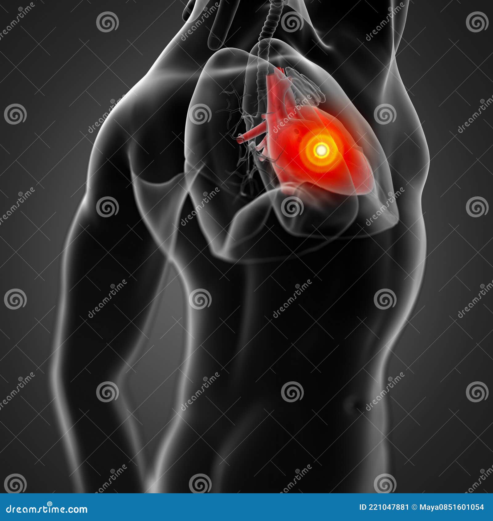 3D Rendering Illustration of Human Heart Stock Illustration ...