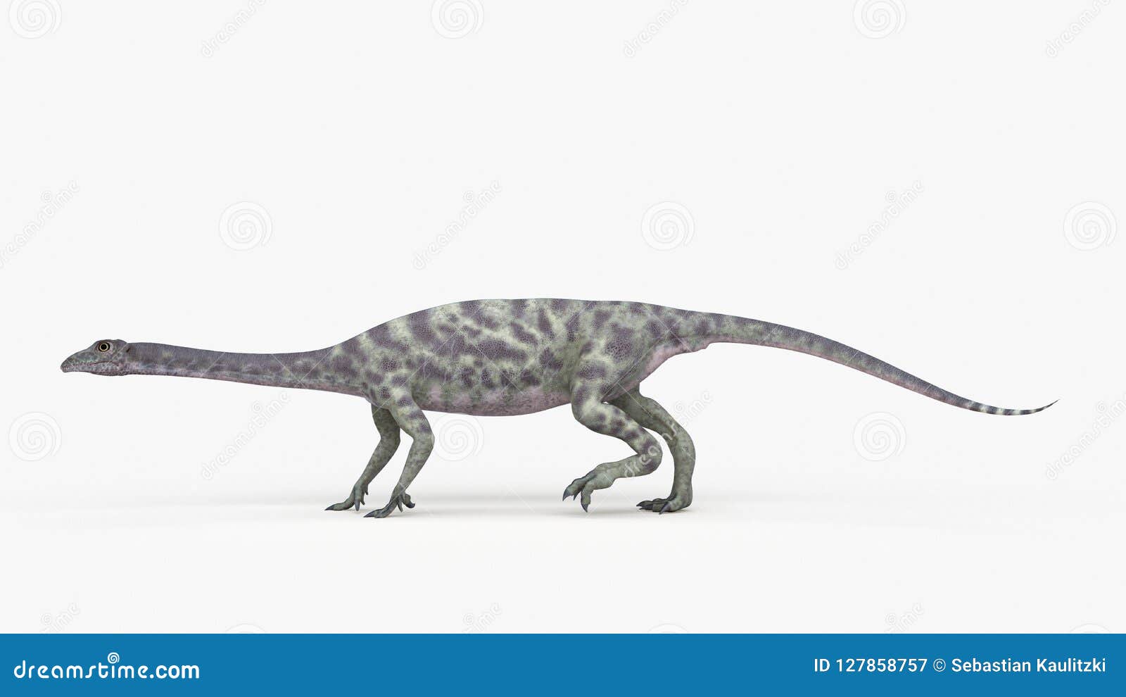 A anchisaurus stock illustration. Illustration of science - 127858757