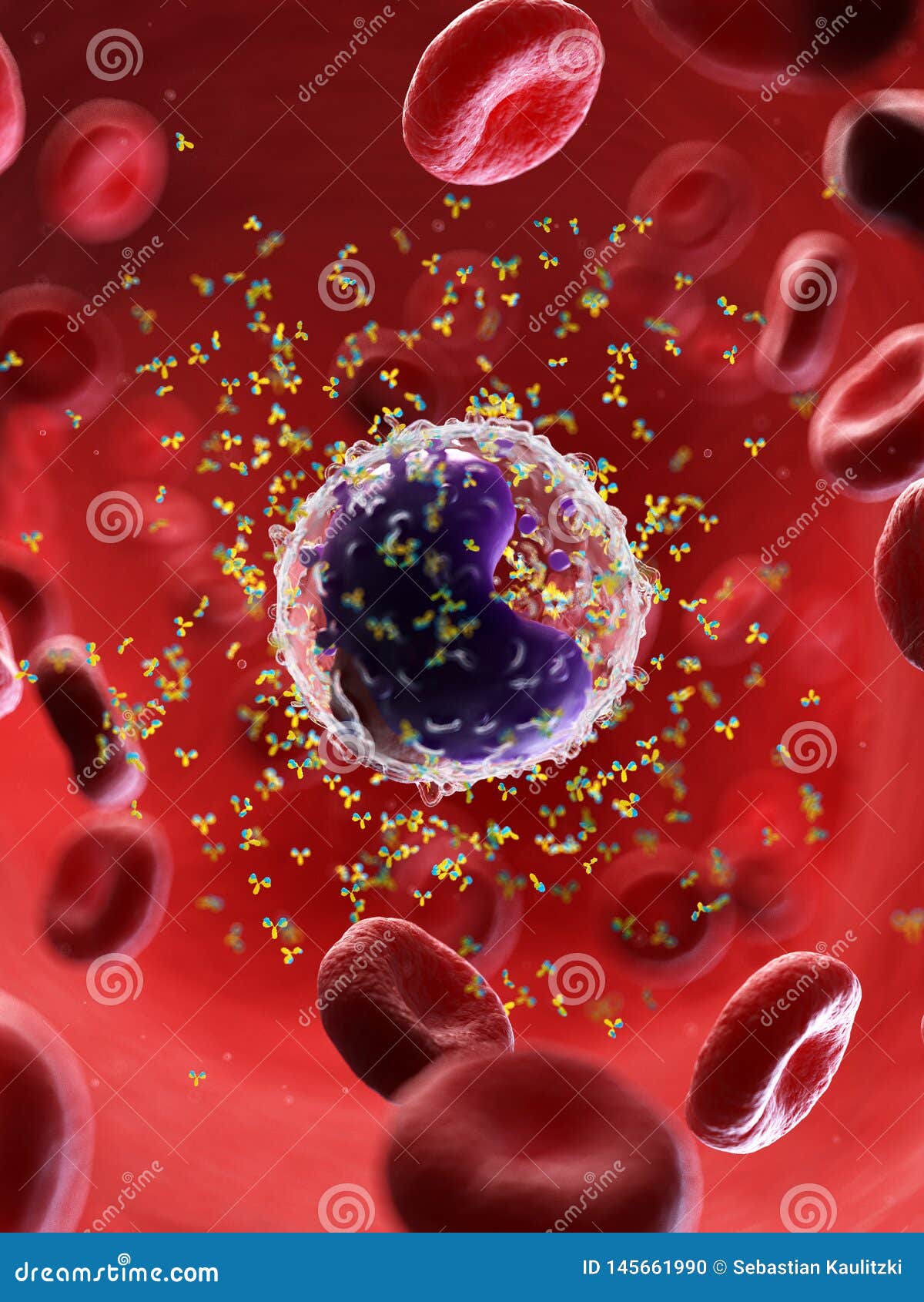 A B Cell And Antibodies Royalty-Free Cartoon | CartoonDealer.com #145661990