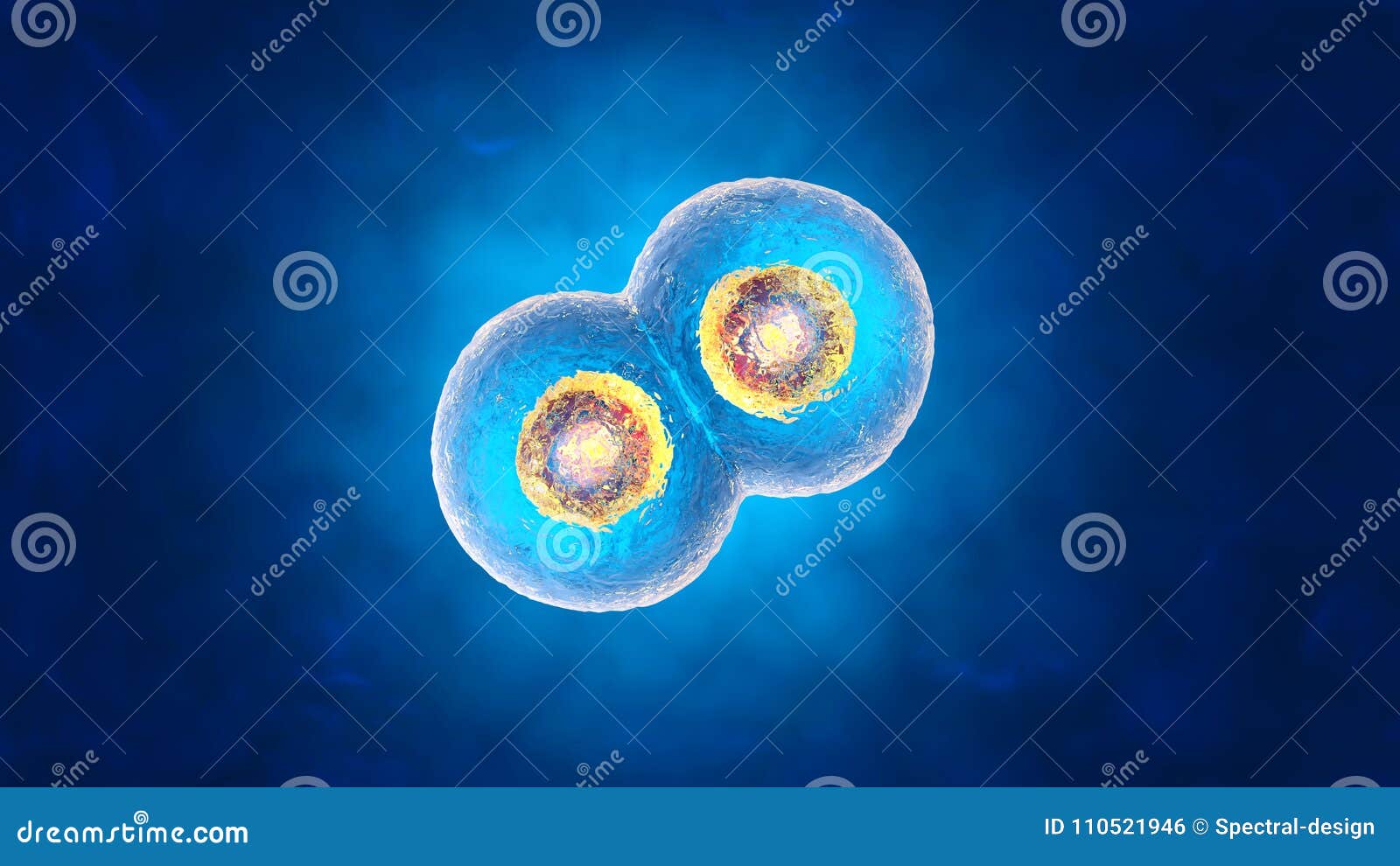 3D Rendered Illustration of Cell Replication Stock Illustration ...