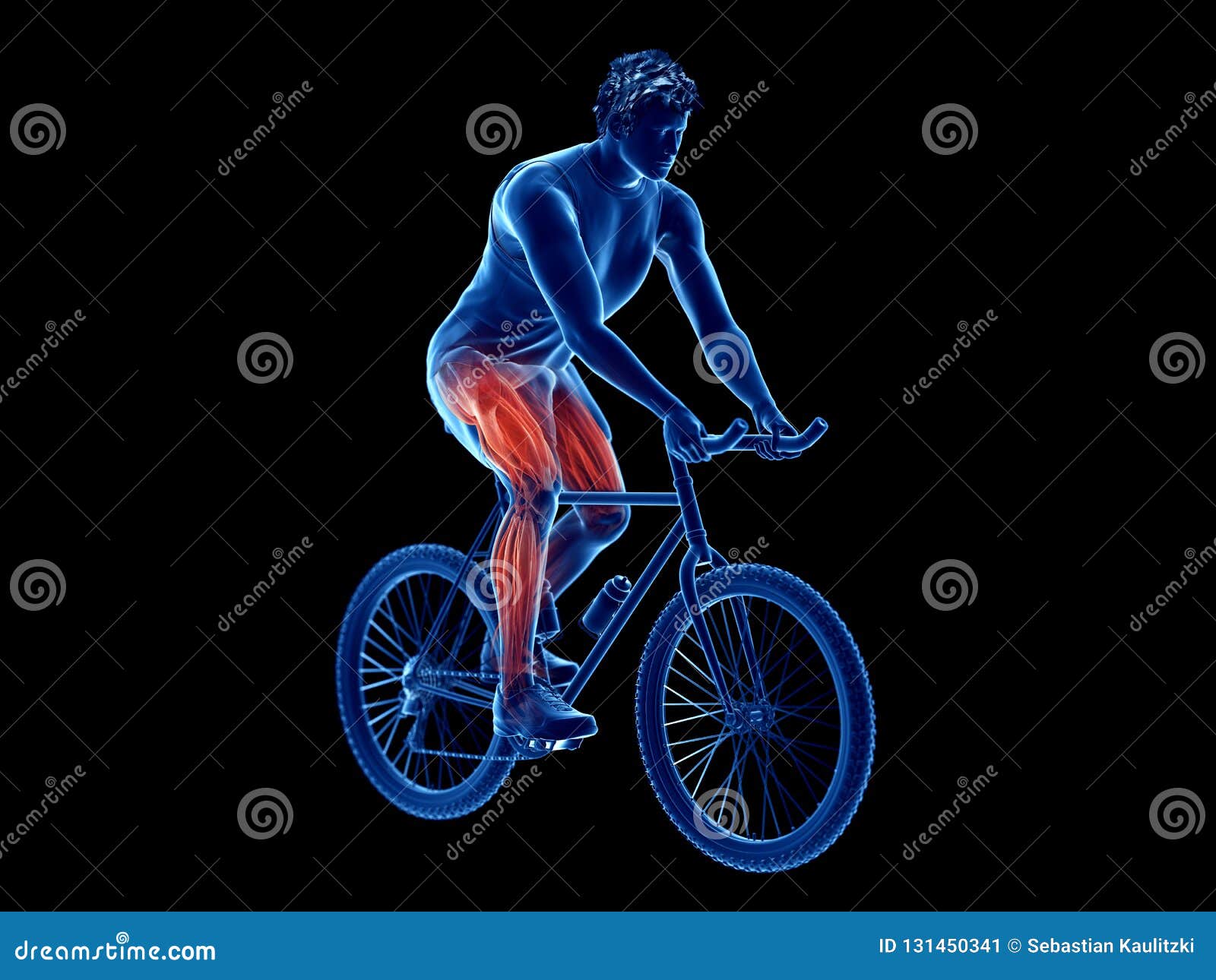 A cyclists muscles stock illustration. Illustration of biker - 131450341