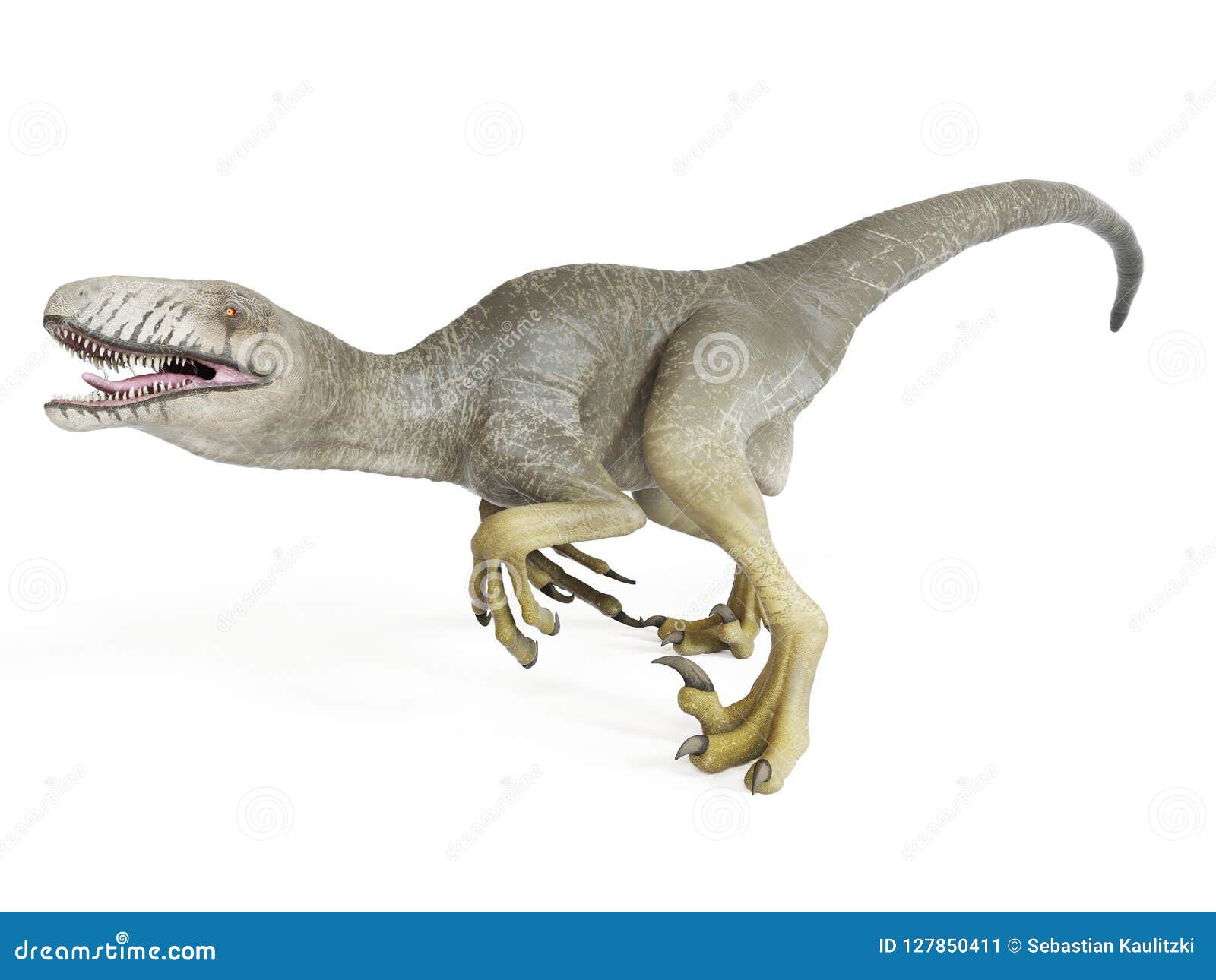 A dakotaraptor stock illustration. Illustration of isolated - 127850411