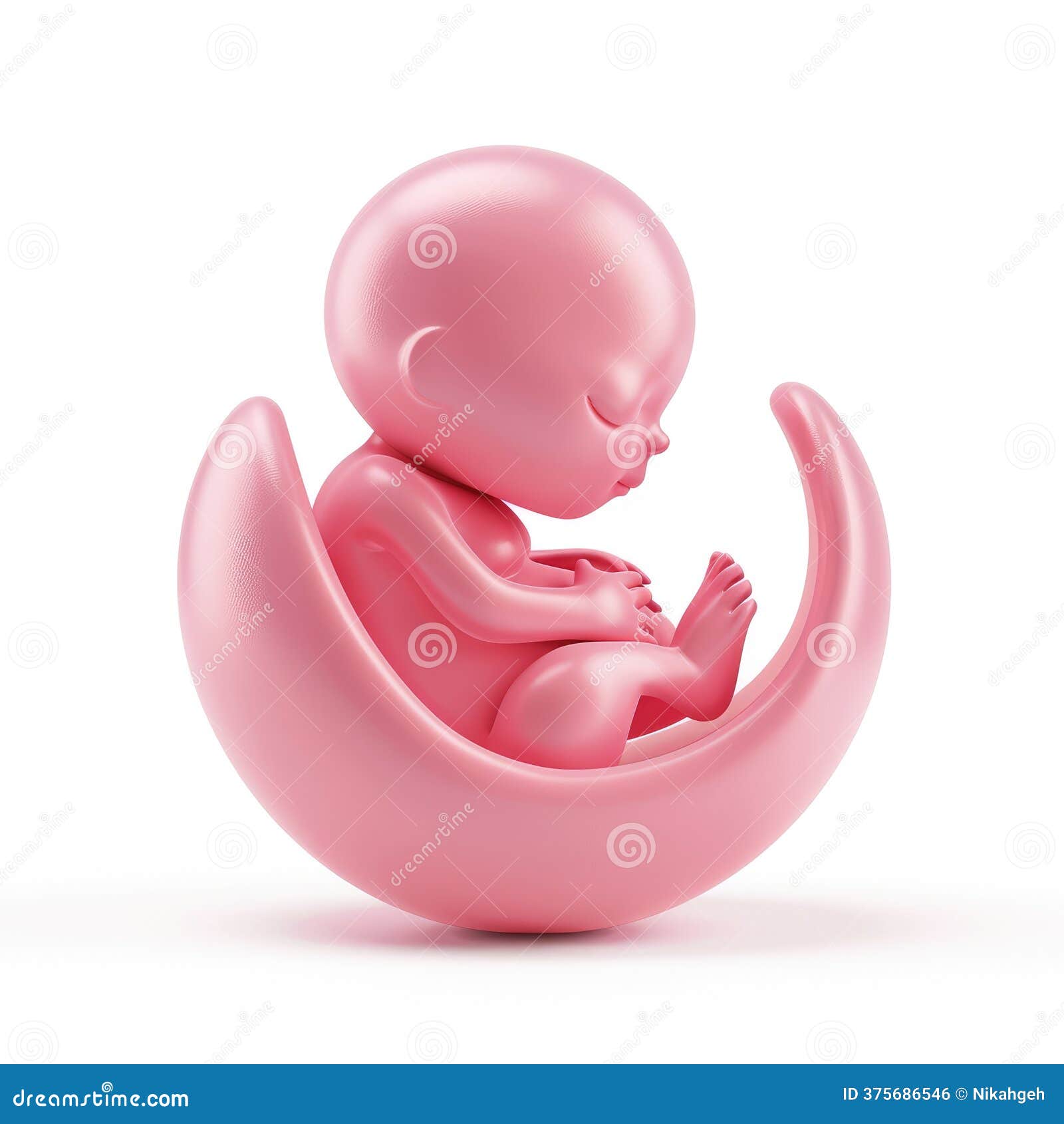 Fetus In Utero: A 3D Rendering Of Fetal Development Inside The Amniotic ...