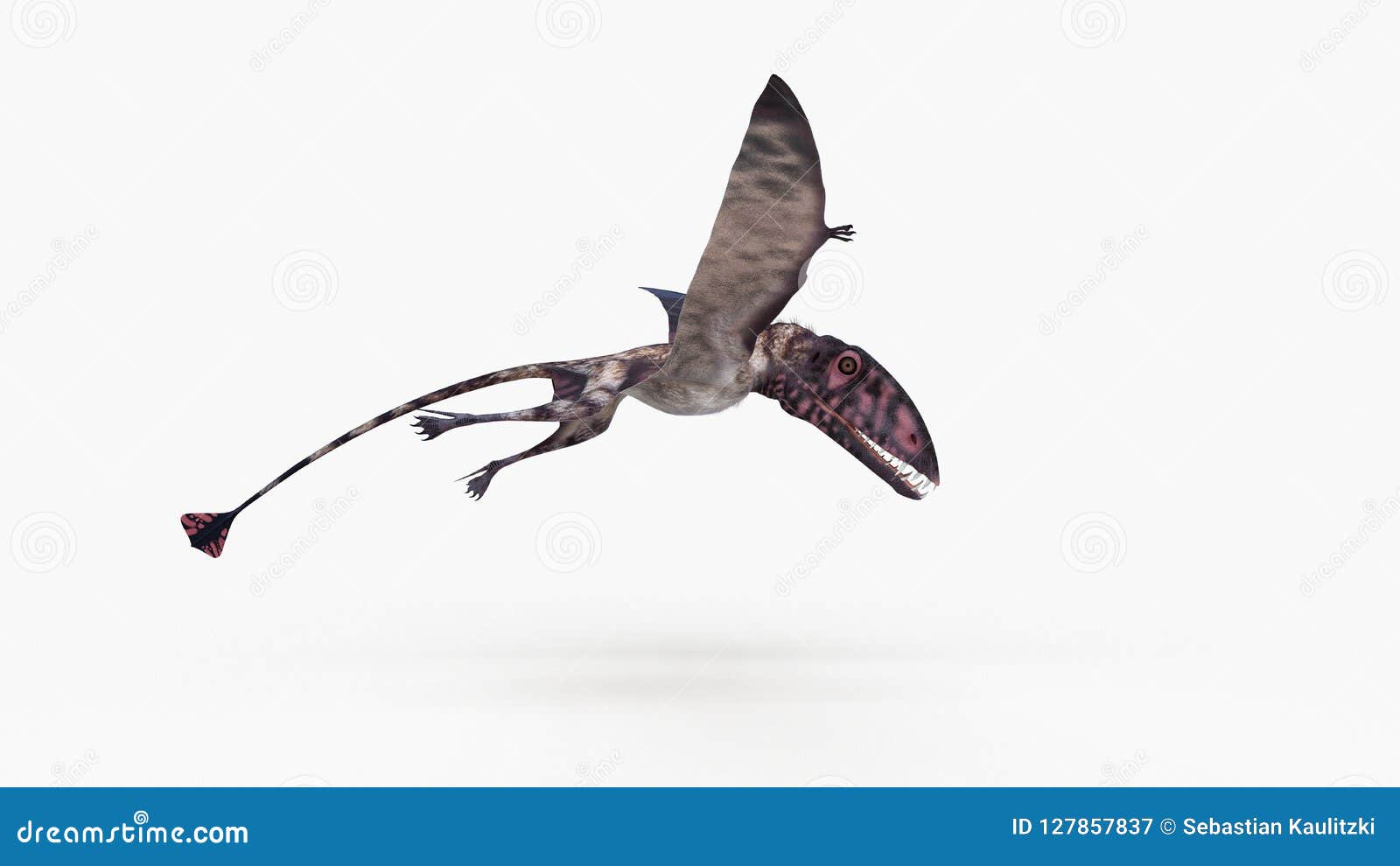 A dimorphodon stock illustration. Illustration of render - 127857837