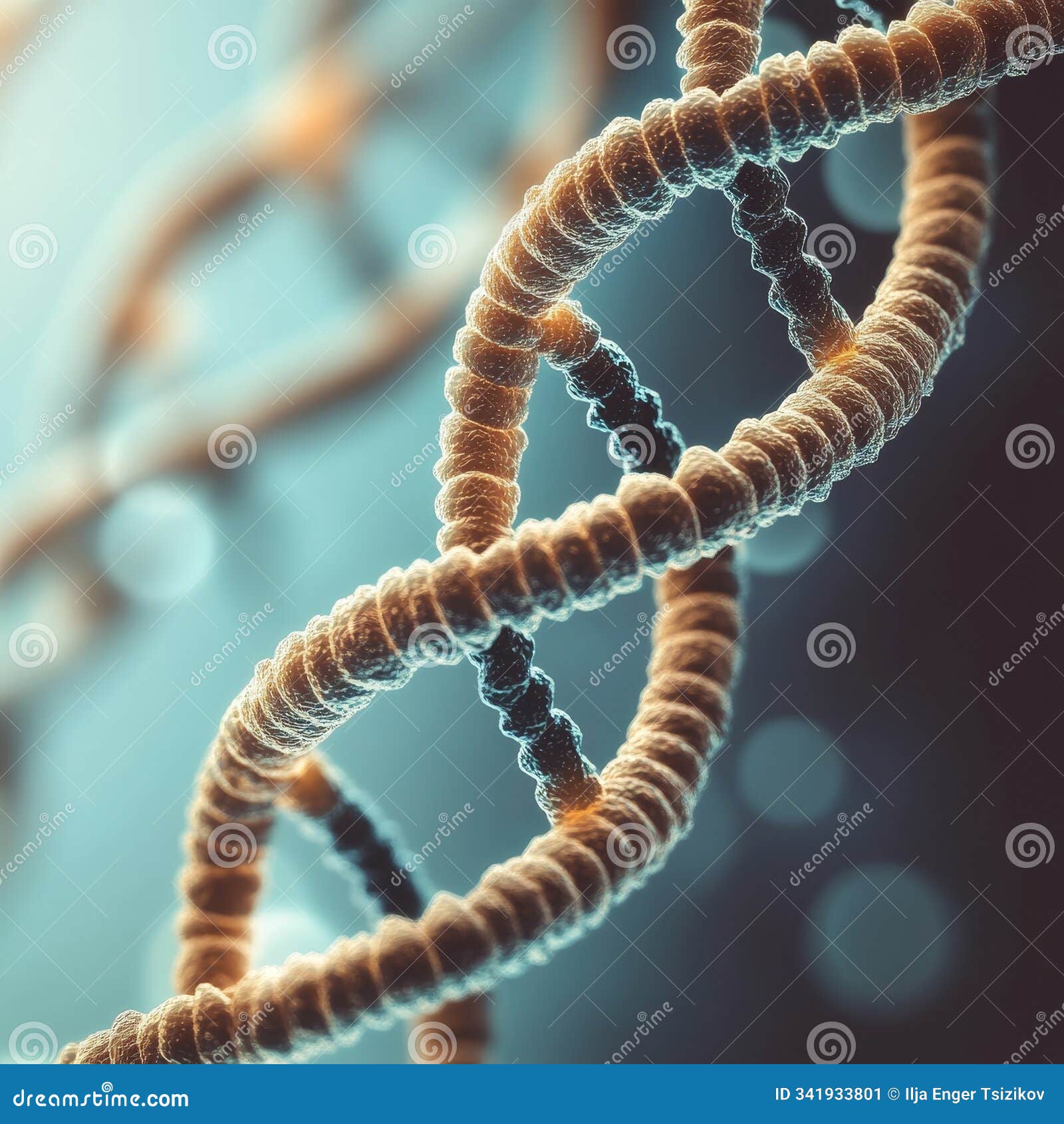 3D Rendered Illustration of a DNA Molecule Structure Representing ...