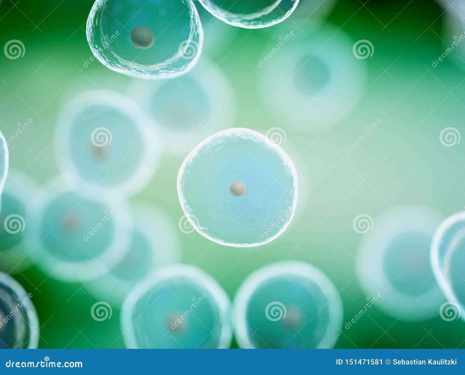 Generic human cells stock illustration. Illustration of biology - 151471581
