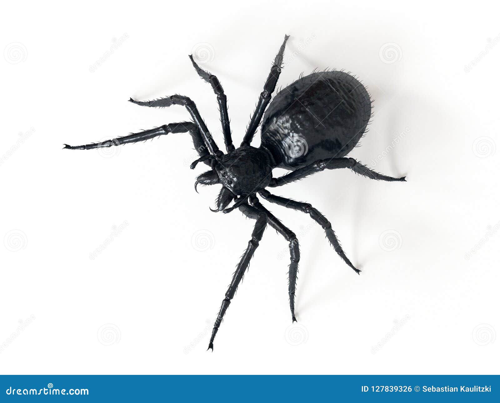 A Giant Spider Royalty-Free Cartoon | CartoonDealer.com #127839515