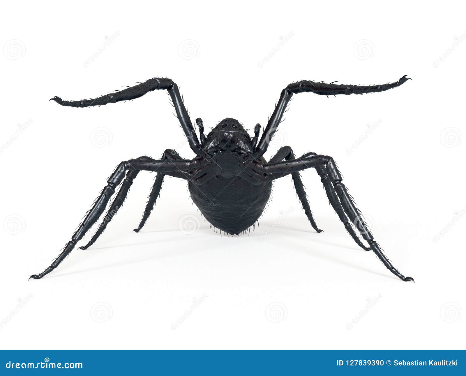 A giant spider stock illustration. Illustration of halloween - 127839390