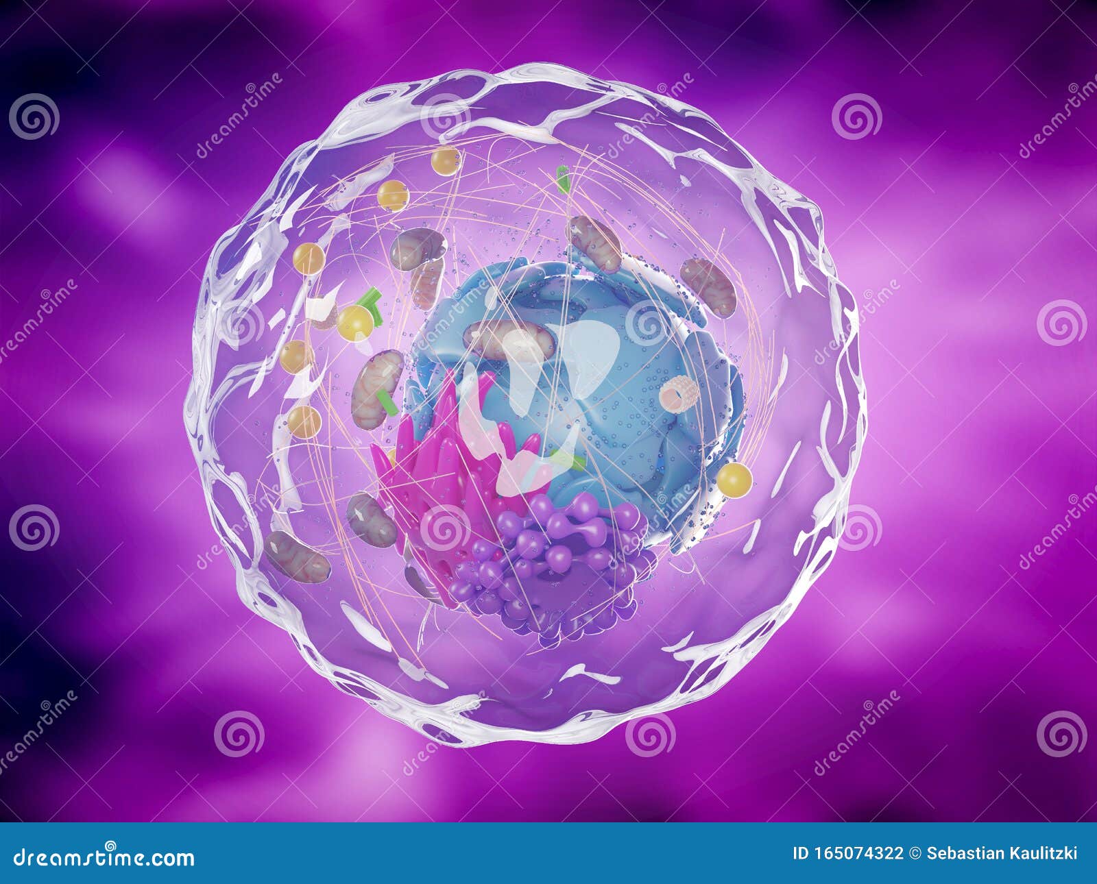 A healthy human cell stock illustration. Illustration of microbiology ...