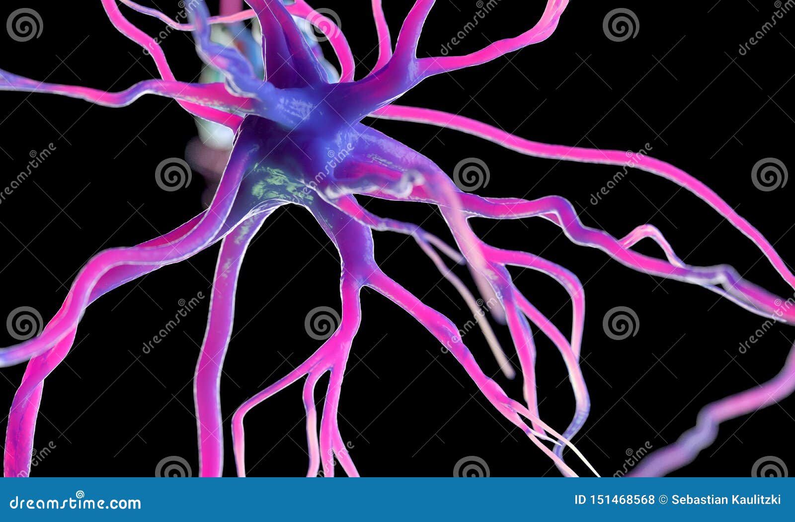 Human nerve cell stock illustration. Illustration of nucleon - 151468568