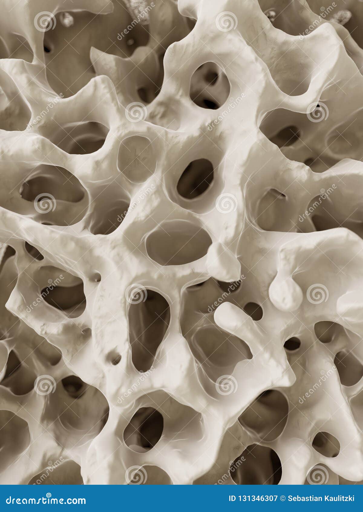 The human bone structure stock illustration. Illustration of inside ...