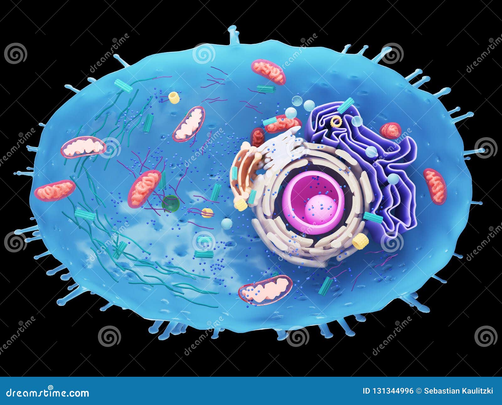 Dry Cell. Cross Section Of Battery With Cathode, Anode, Paste, Light ...